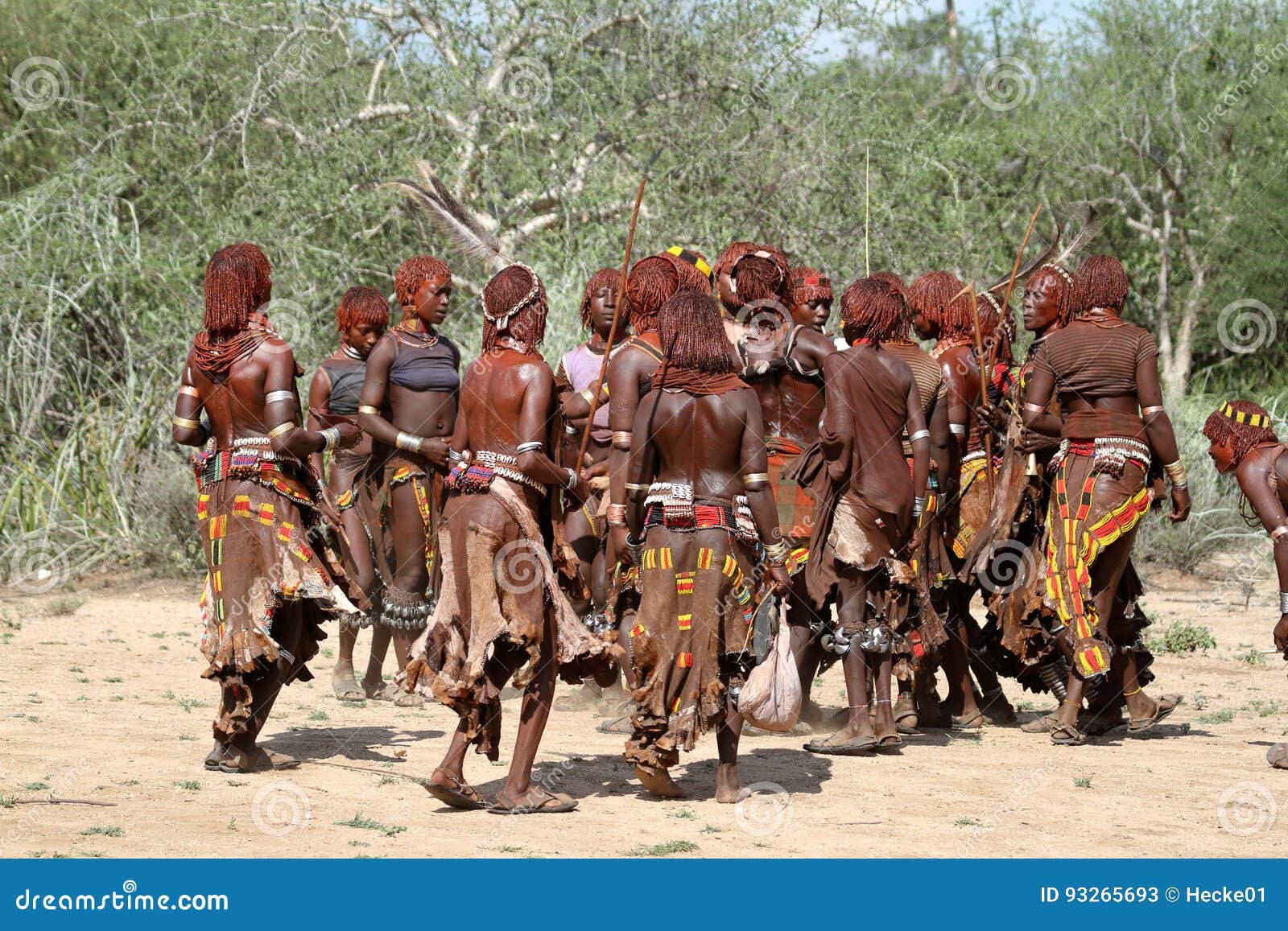 The Tribe of Hamar in the Omo Valley of Ethiopia Editorial Stock Photo ...