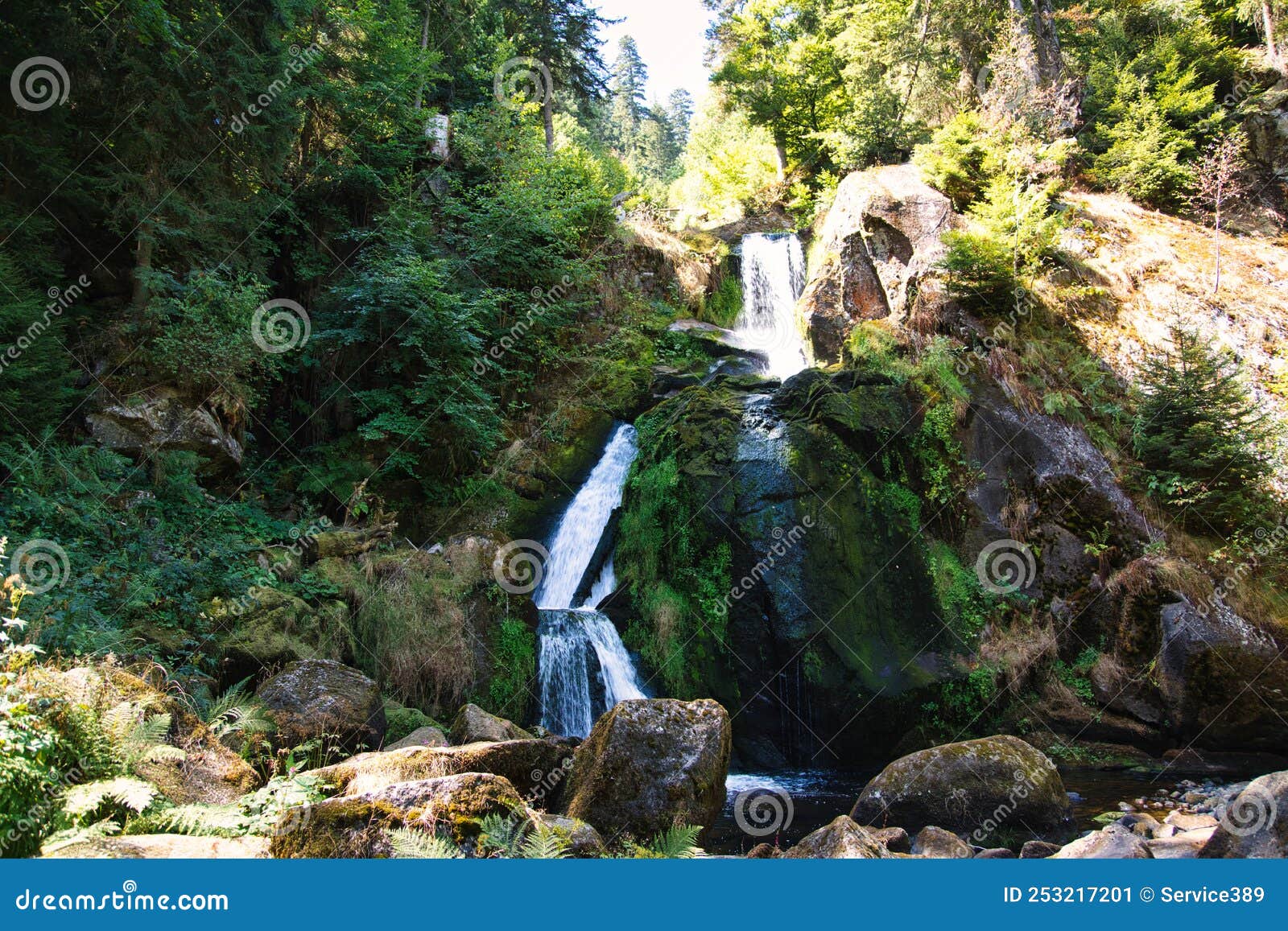 Triberg - Germany`s Highest Waterfalls Stock Image - Image of squirrel ...