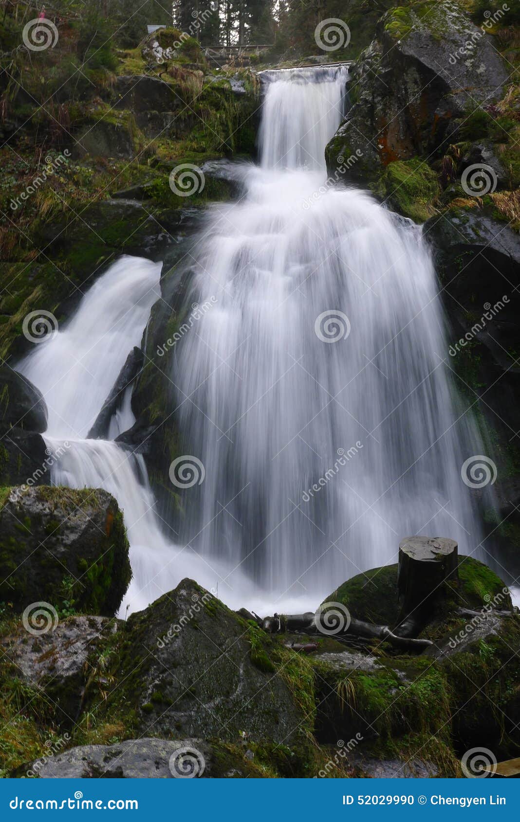 Triberg, La Plus Haute Cascade De L'Allemagne Photo stock - Image du ...
