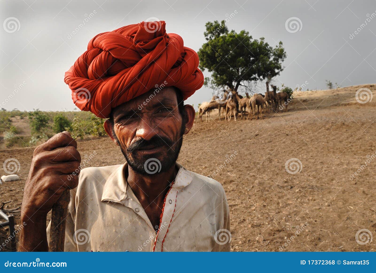 TRIBOS DE BANJARA EM INDIA foto de stock editorial. Imagem de nômada ...