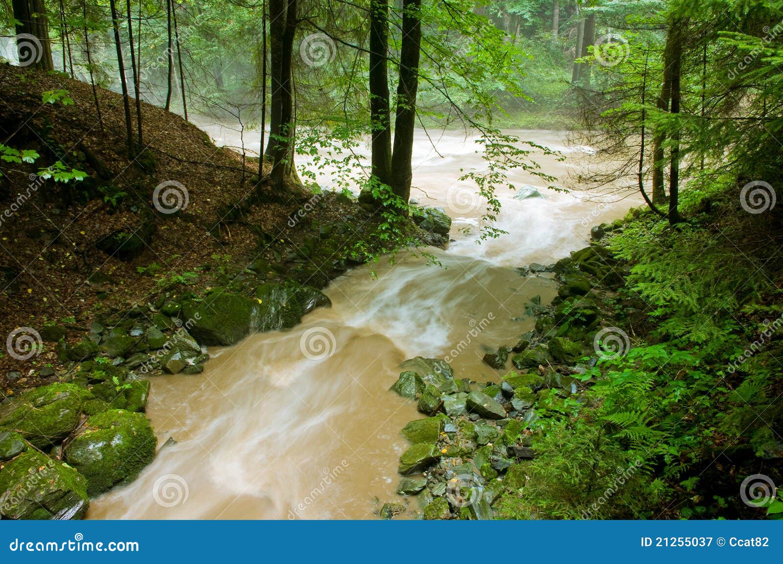 Tributary and big river stock image. Image of flow, field - 21255037