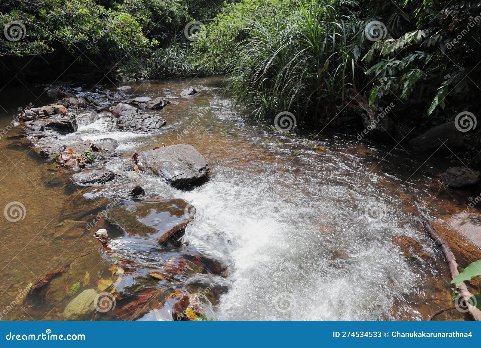 A Tributary River View, Water Flows between the Rocks on the Riverbed ...