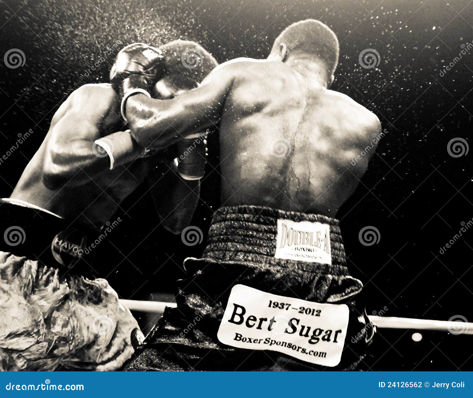 Tribute to Bert Sugar editorial photography. Image of boxing - 24126562