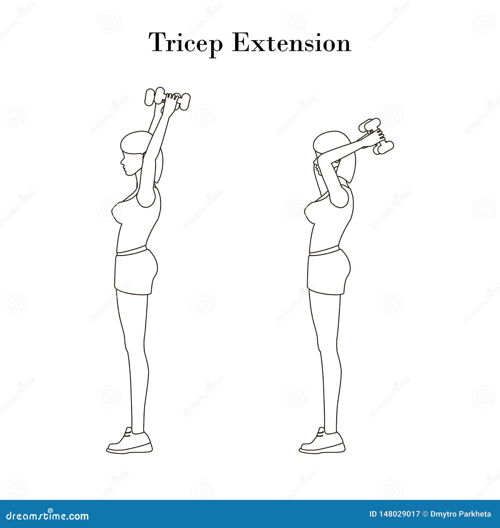 Exercising. Extension Arms With Dumbbells Lying Royalty-Free Stock ...