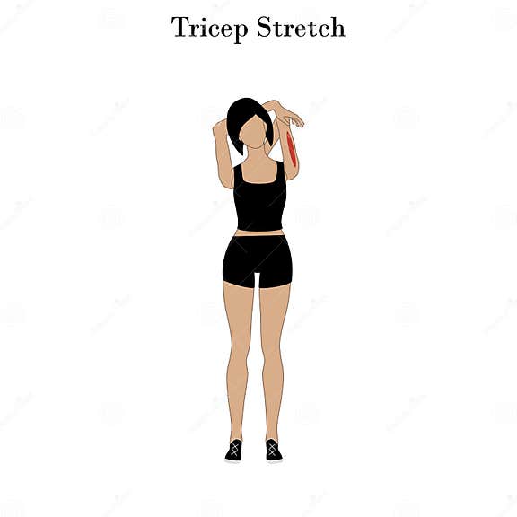Tricep stretch exercise stock vector. Illustration of lifestyle - 147258013