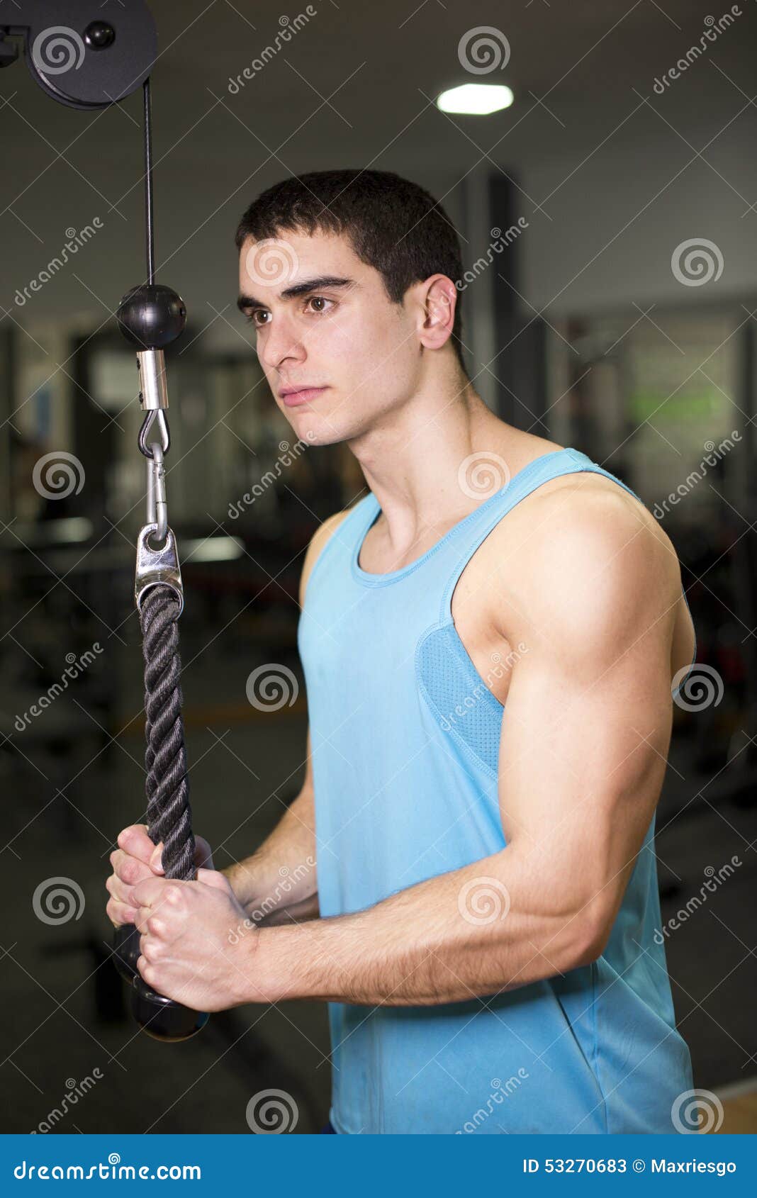 Triceps exercise at gym stock image. Image of health - 53270683