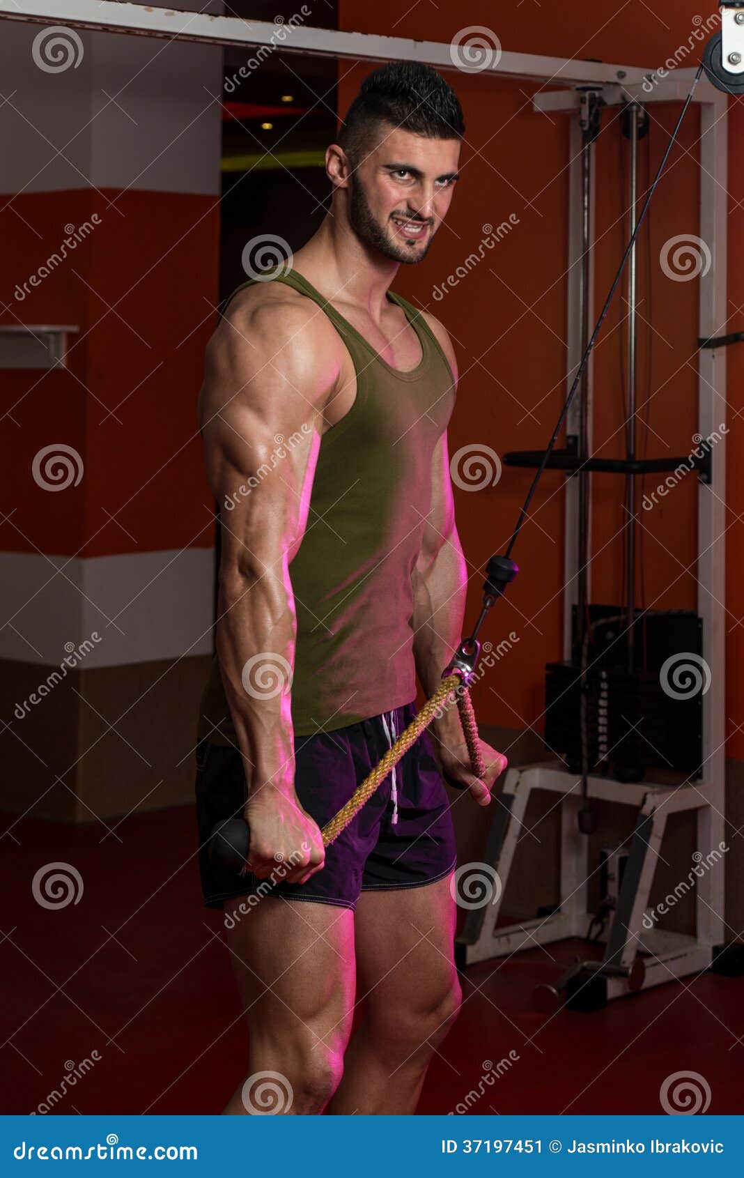 Triceps Exercise stock image. Image of muscle, health - 37197451