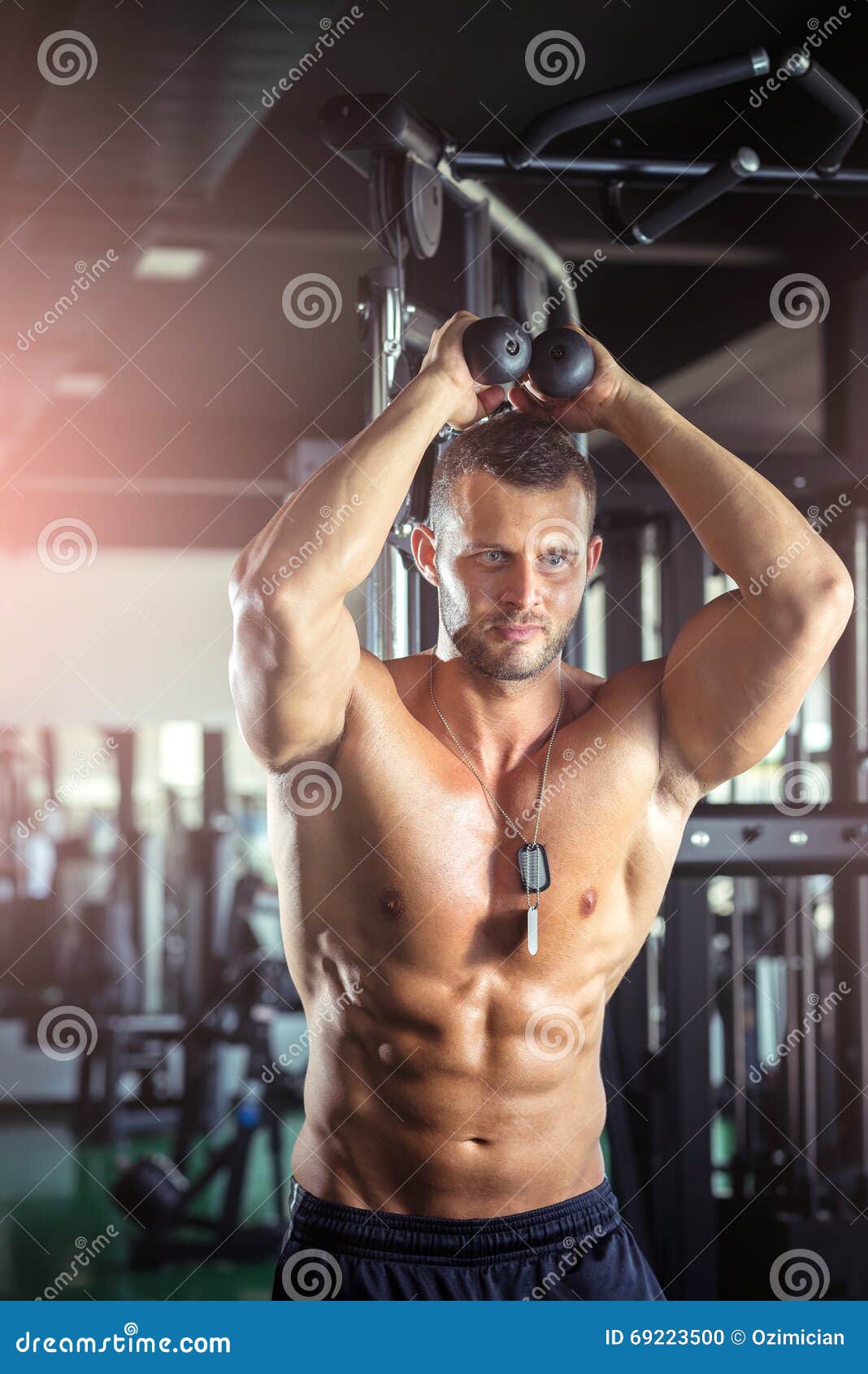Triceps Overhead Extension Rope Stock Photo - Image of sport, power ...