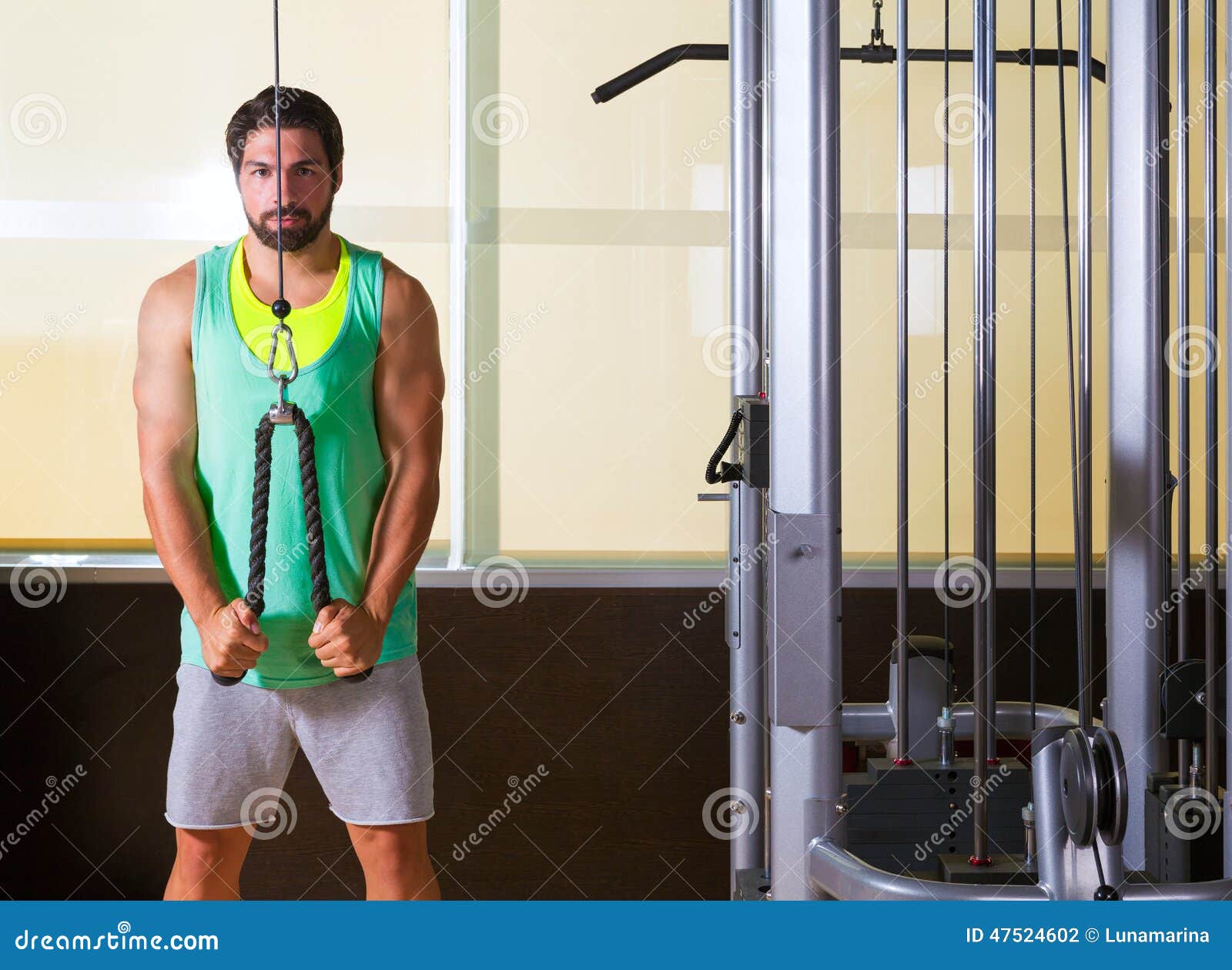 Triceps Pressdown High Pulley Workout Man Stock Photo - Image of press ...