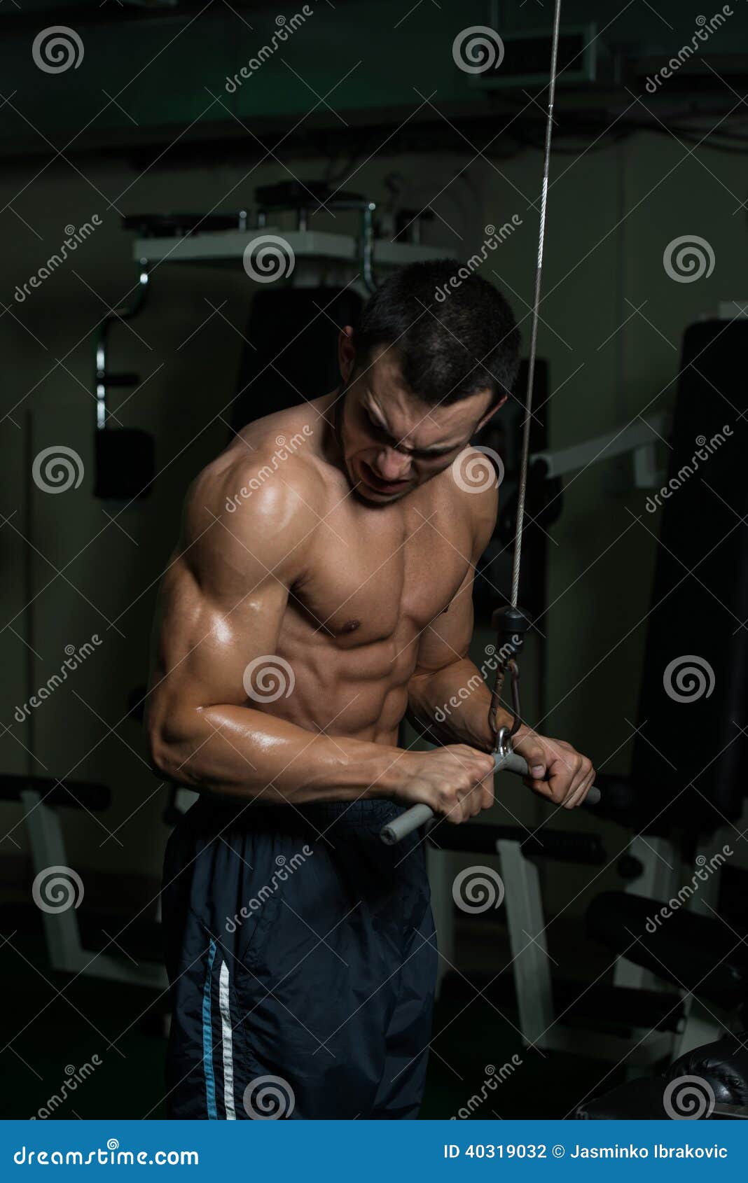 Triceps Workout stock photo. Image of power, muscular - 40319032