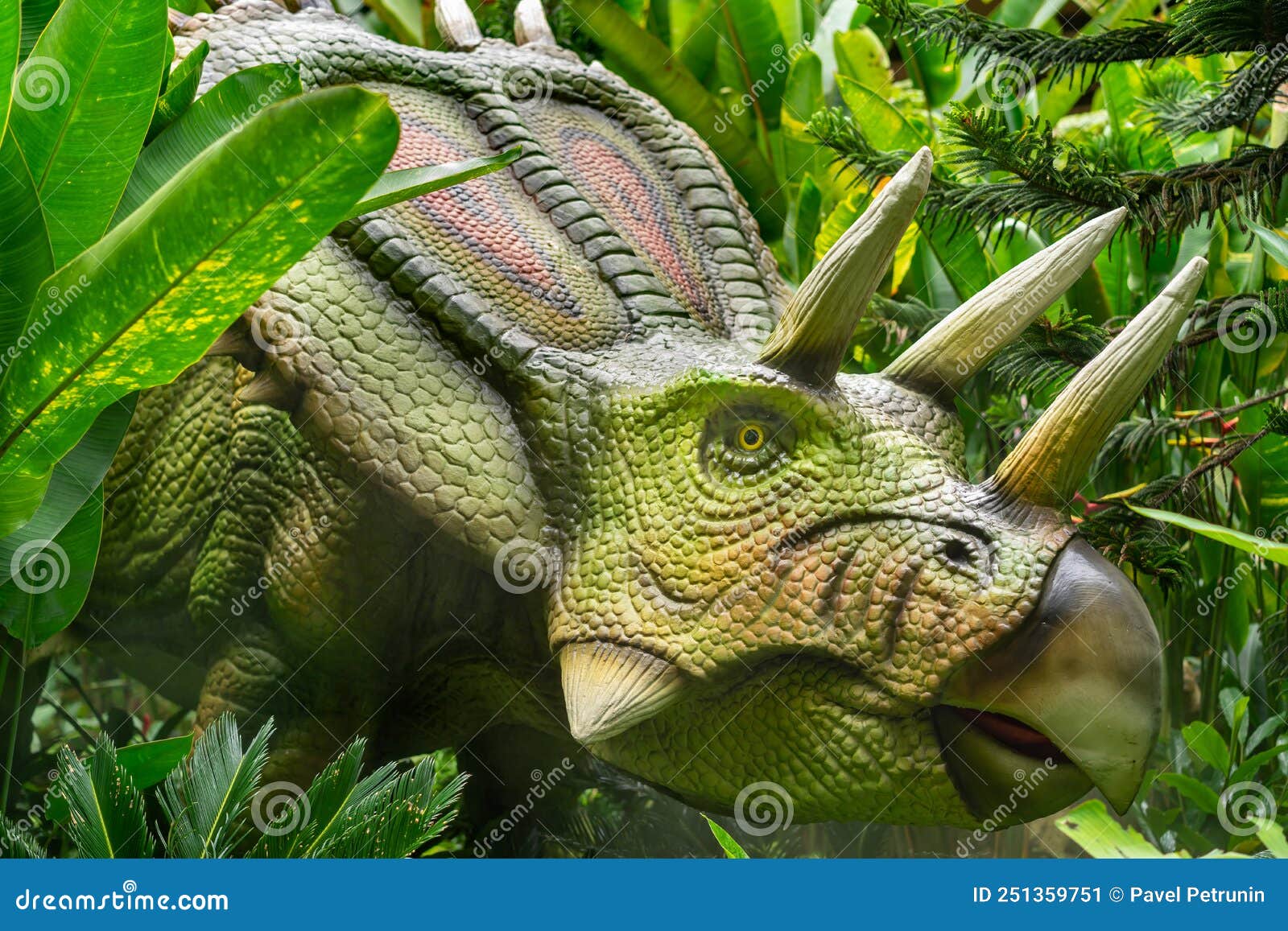 Triceraptor Dinosaur Portrait Stock Image - Image of danger, render ...