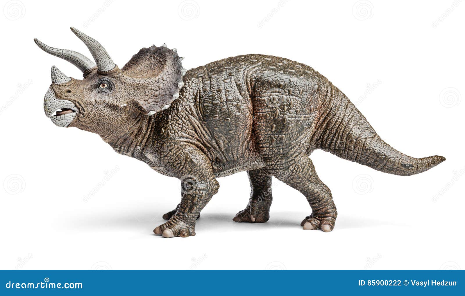 Triceratops, Front View Dinosaurs Toy Isolated On White Background With ...