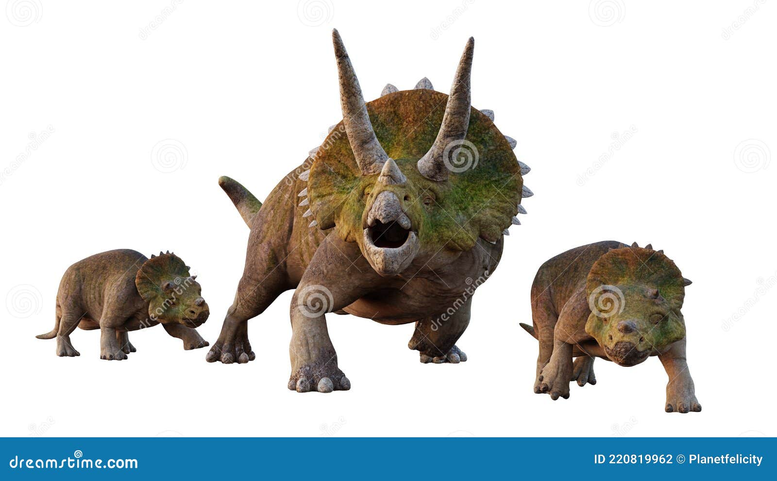 Torosaurus On A White Background Royalty-Free Stock Photography ...
