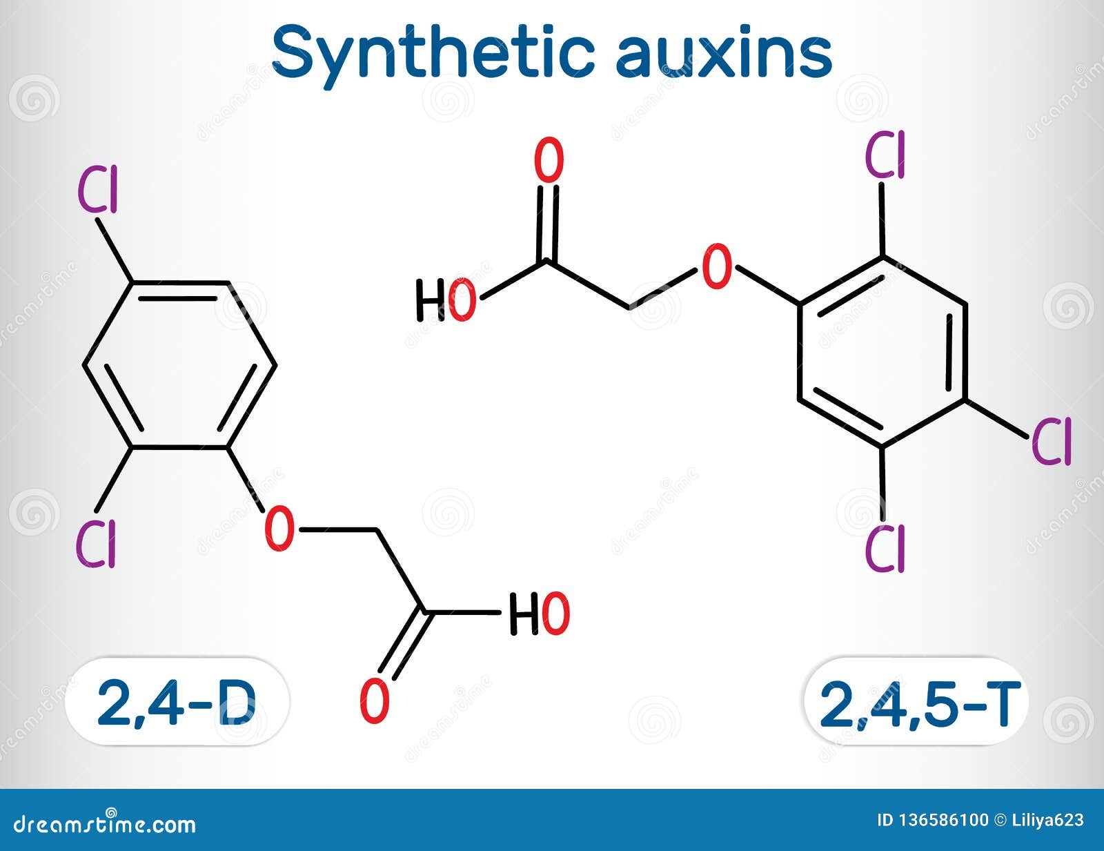 Auxine Stock Illustrations, Vectors, & Clipart – (31 Stock Illustrations)