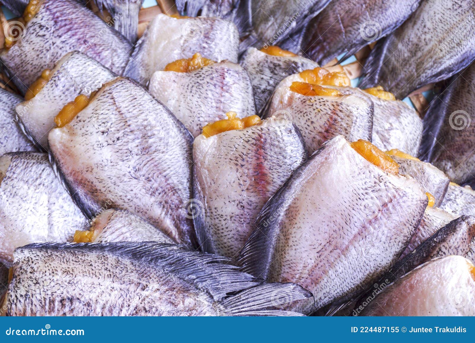 Trichogaster pectoralis stock image. Image of stacked - 224487155