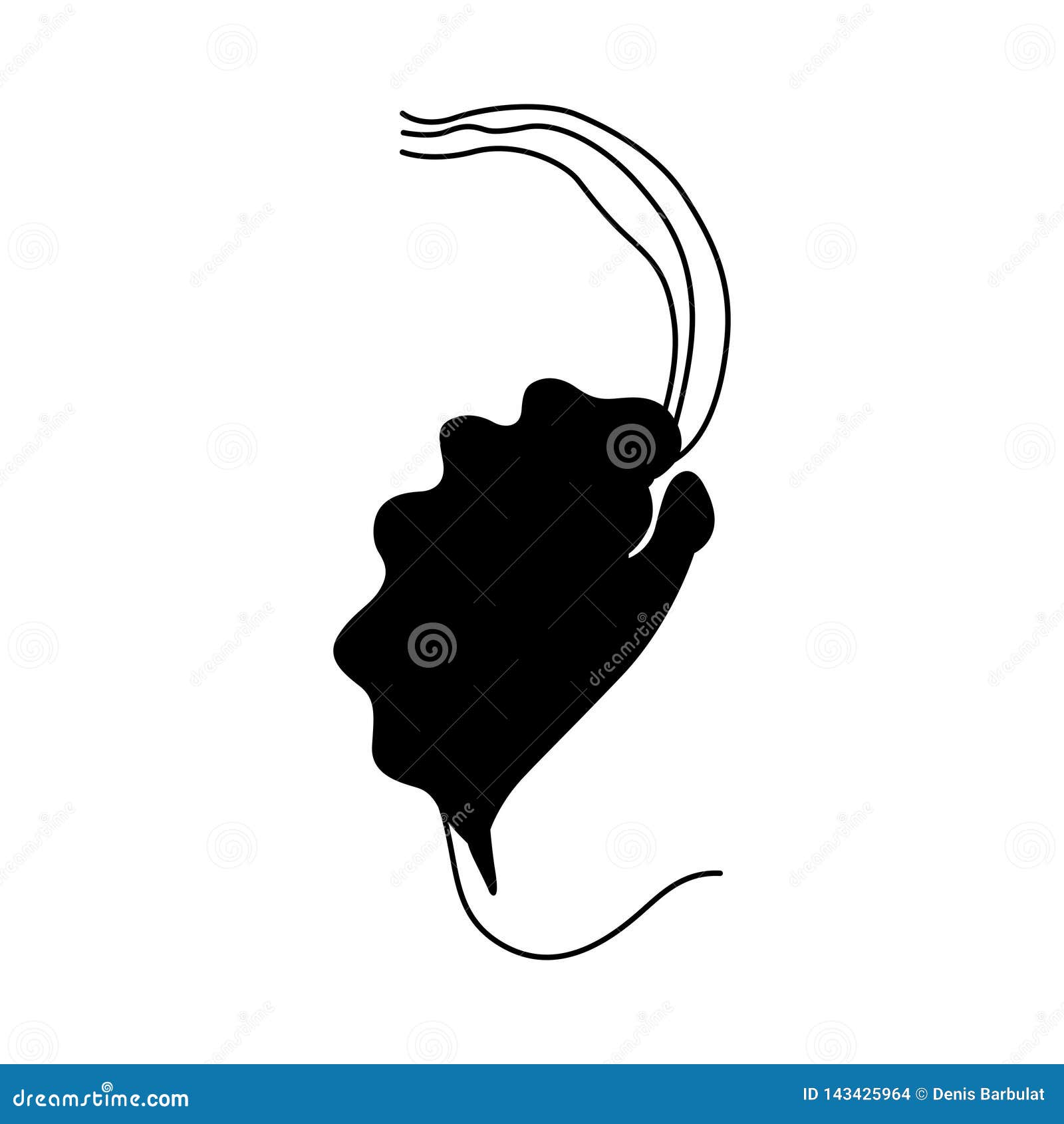 Trichomonas vaginalis stock vector. Illustration of infection - 143425964