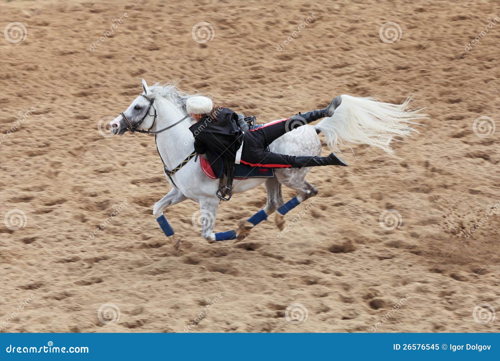 Trick riding editorial image. Image of outdoor, hippodrome - 26576545