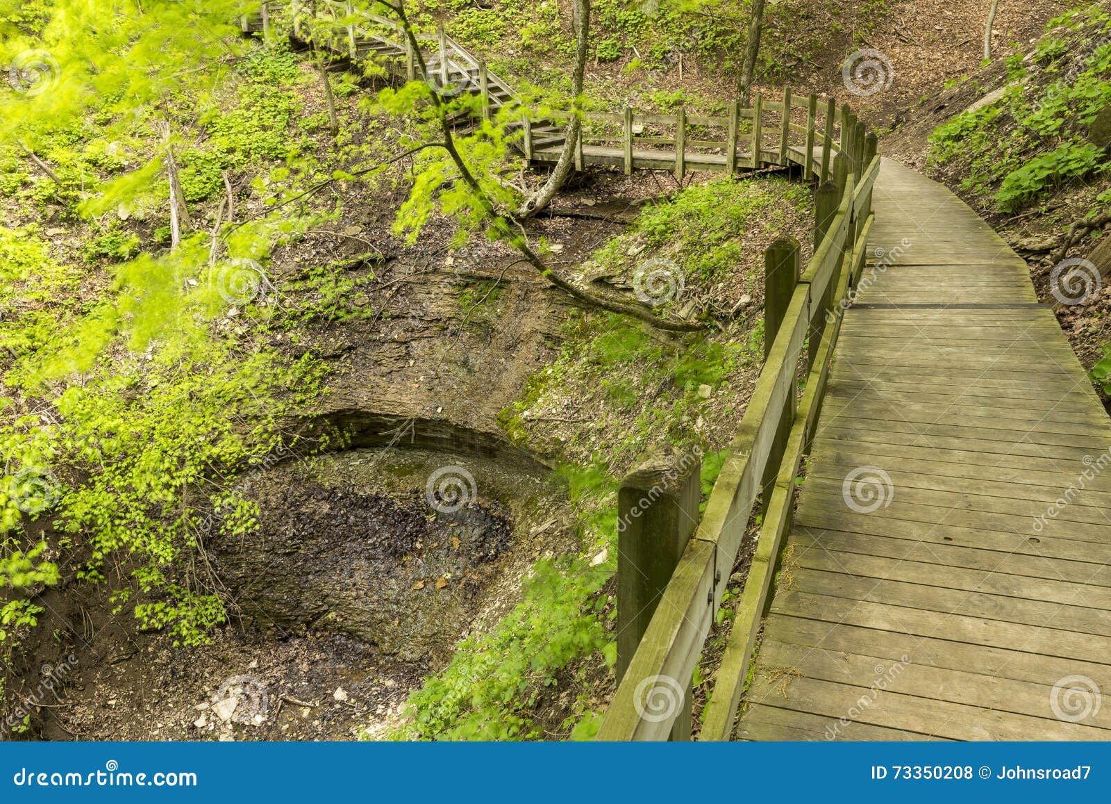 Trickling Waterfall stock photo. Image of trees, trickle - 73350208
