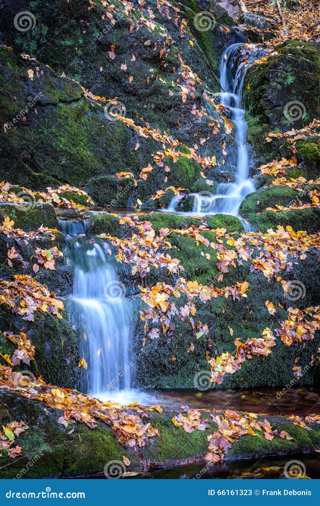 Trickling waterfall stock image. Image of moss, yellow - 66161323