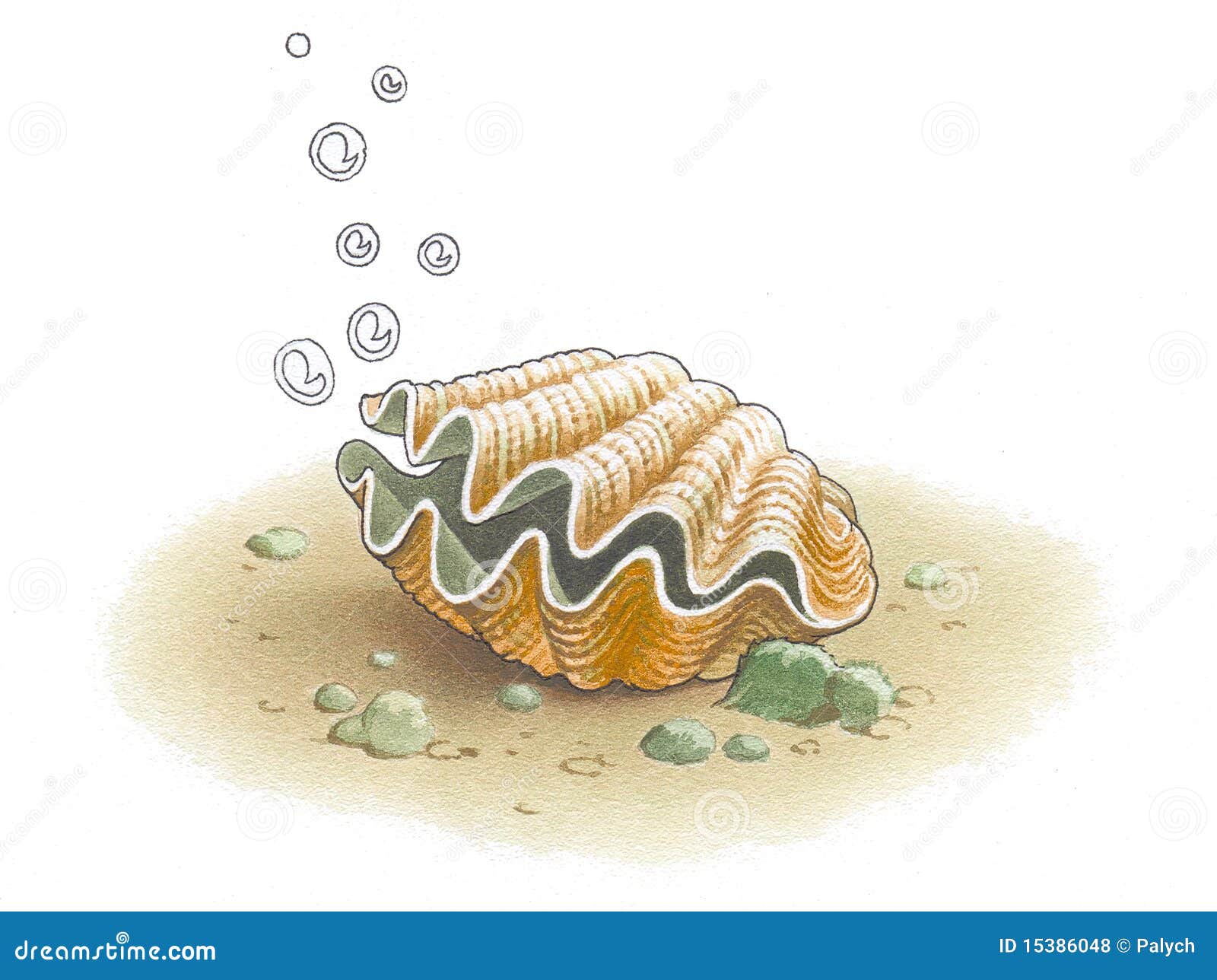 Shell Tridacna Gigas And Pearls Marine Life Polygons White Background ...