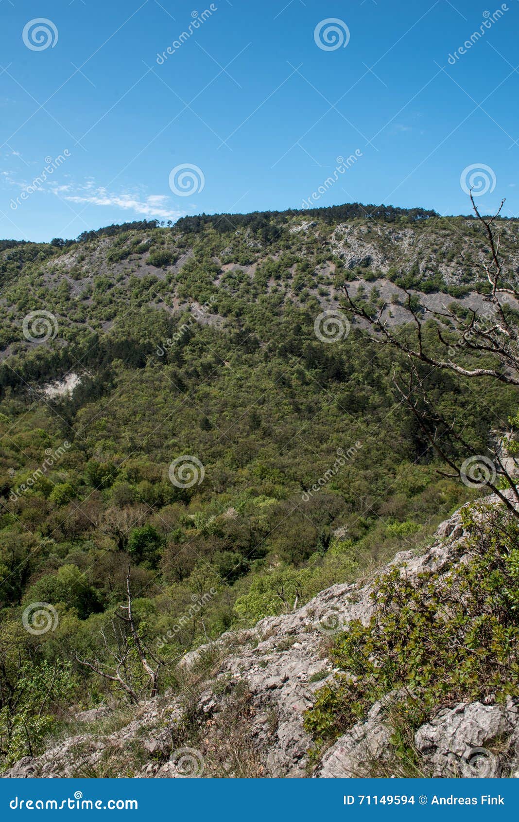 Trieste stock photo. Image of summer, wander, friuli - 71149594