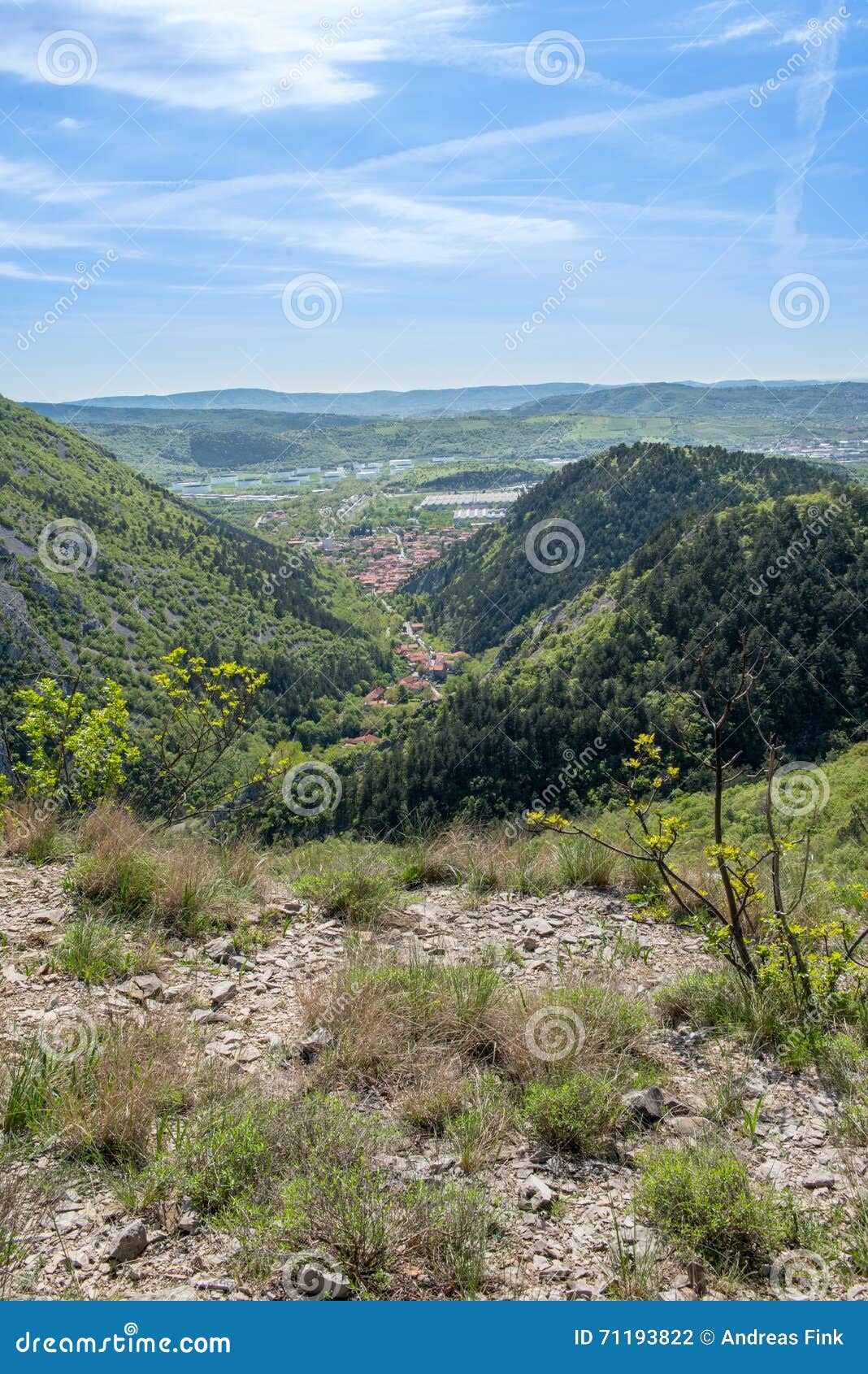 Trieste stock photo. Image of wood, hike, landscape, summer - 71193822