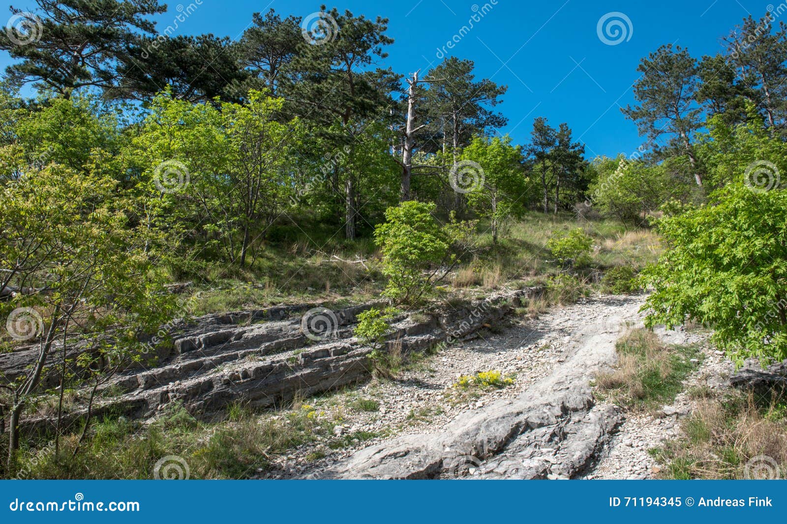 Trieste stock image. Image of beautiful, rock, friuli - 71194345