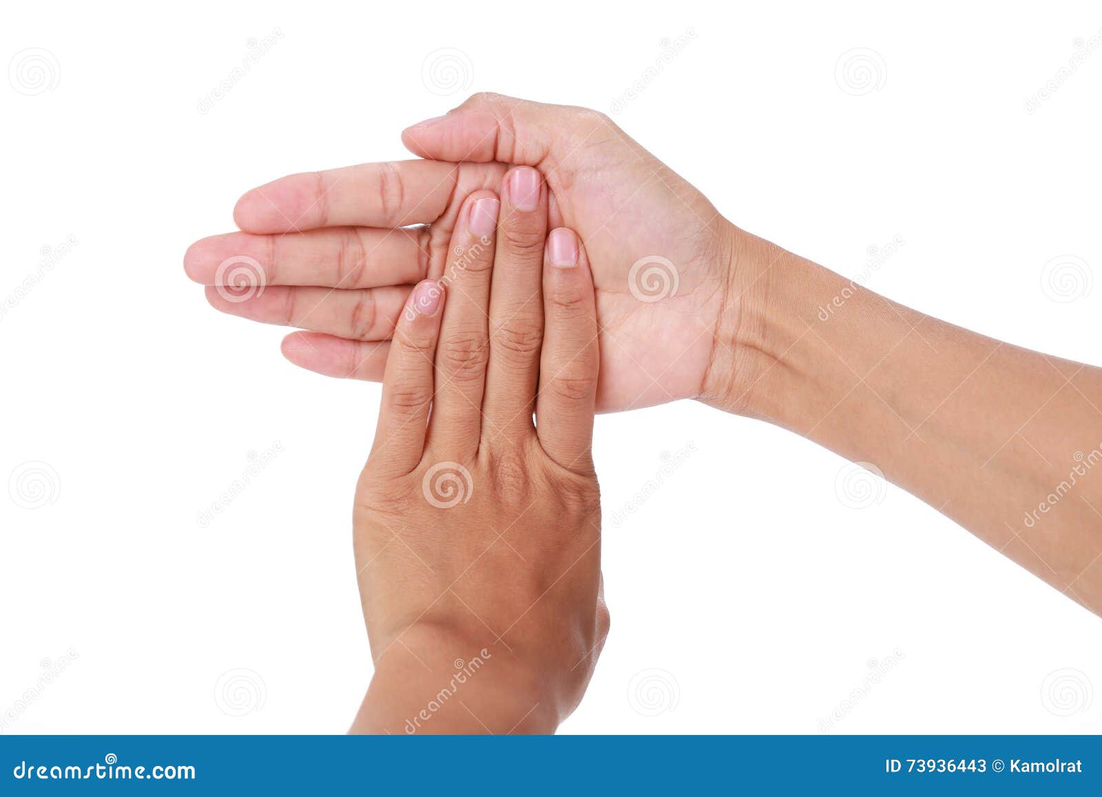 Anatomy Of Trigger Finger