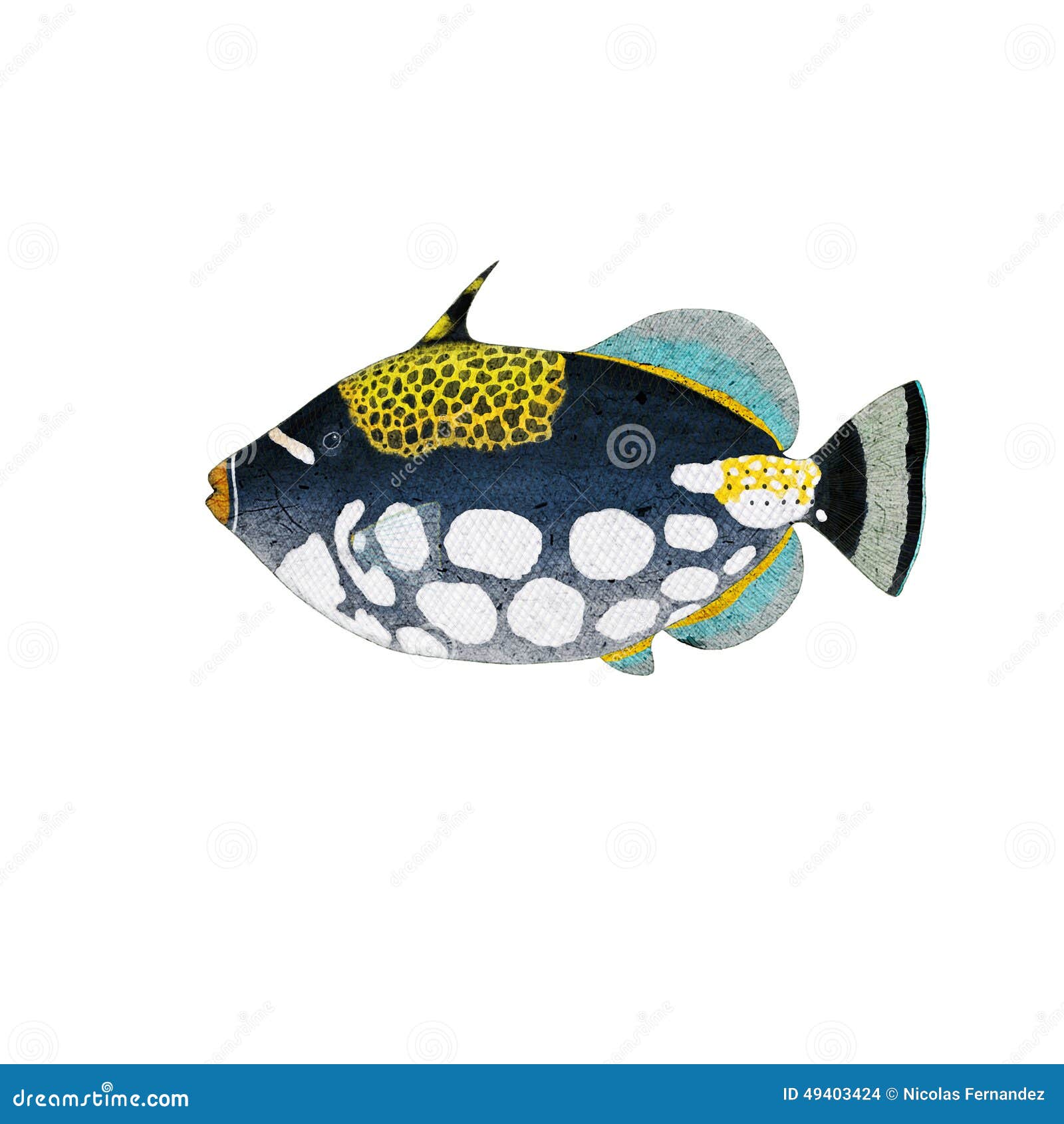 Triggerfish stock illustration. Illustration of coral - 49403424