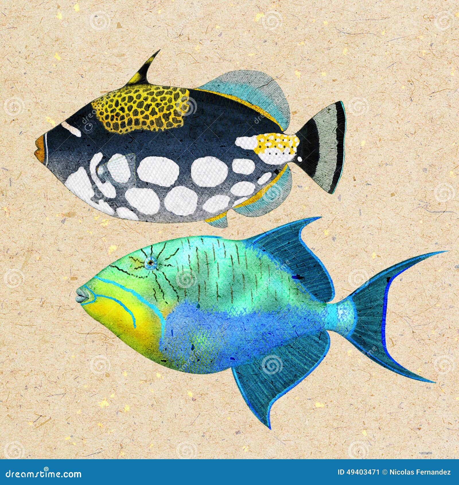 Triggerfish Cartoons, Illustrations & Vector Stock Images - 613 ...