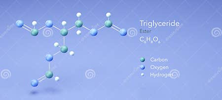 Triglyceride, Molecular Structures, Ester, 3d Model, Structural ...