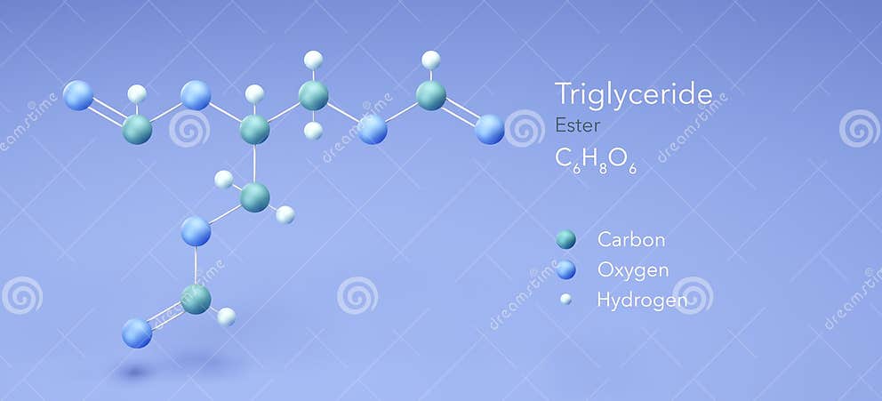 Triglyceride, Molecular Structures, Ester, 3d Model, Structural ...