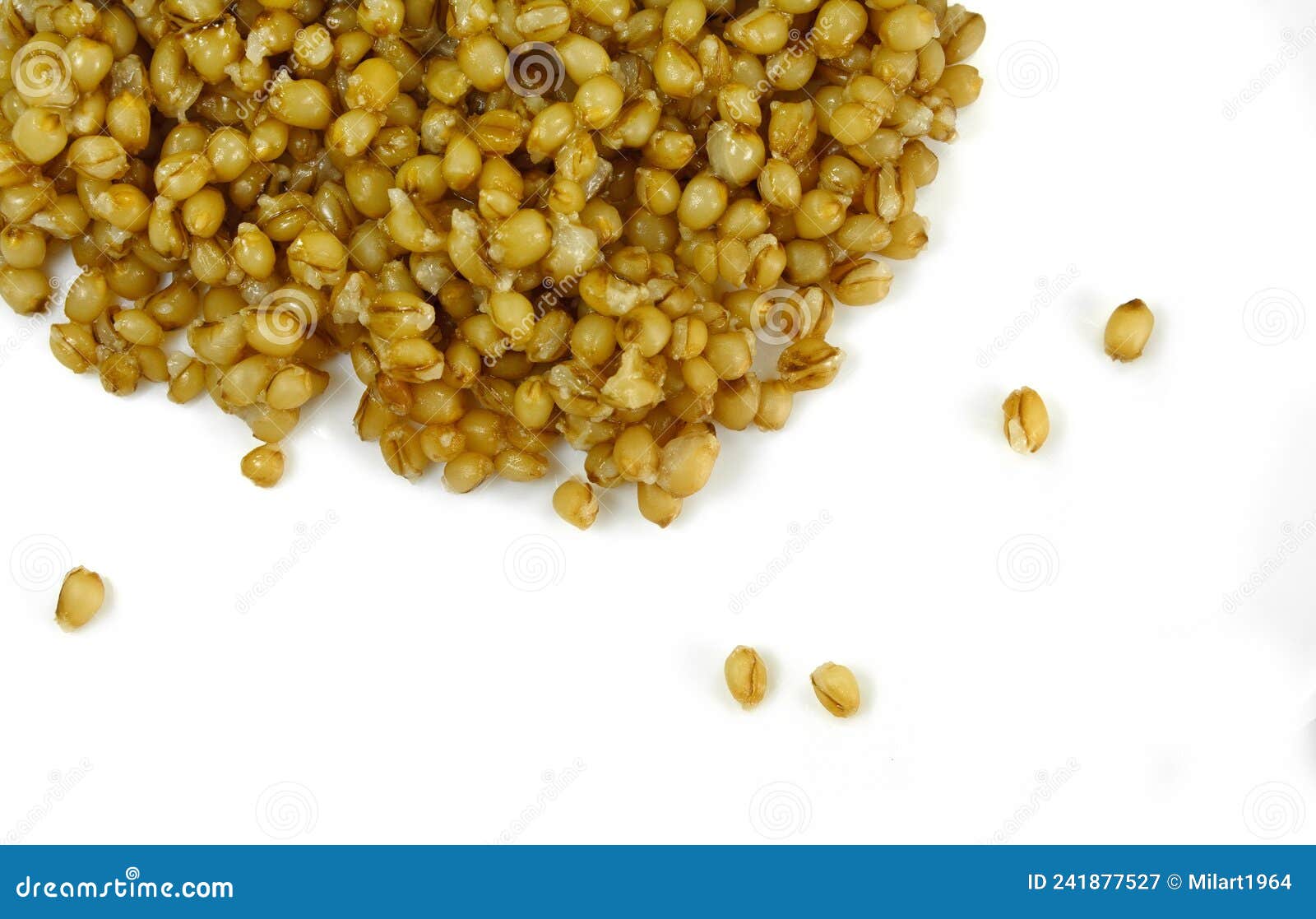 Trigo bulgur cocido imagen de archivo. Imagen de aperitivo - 241877527