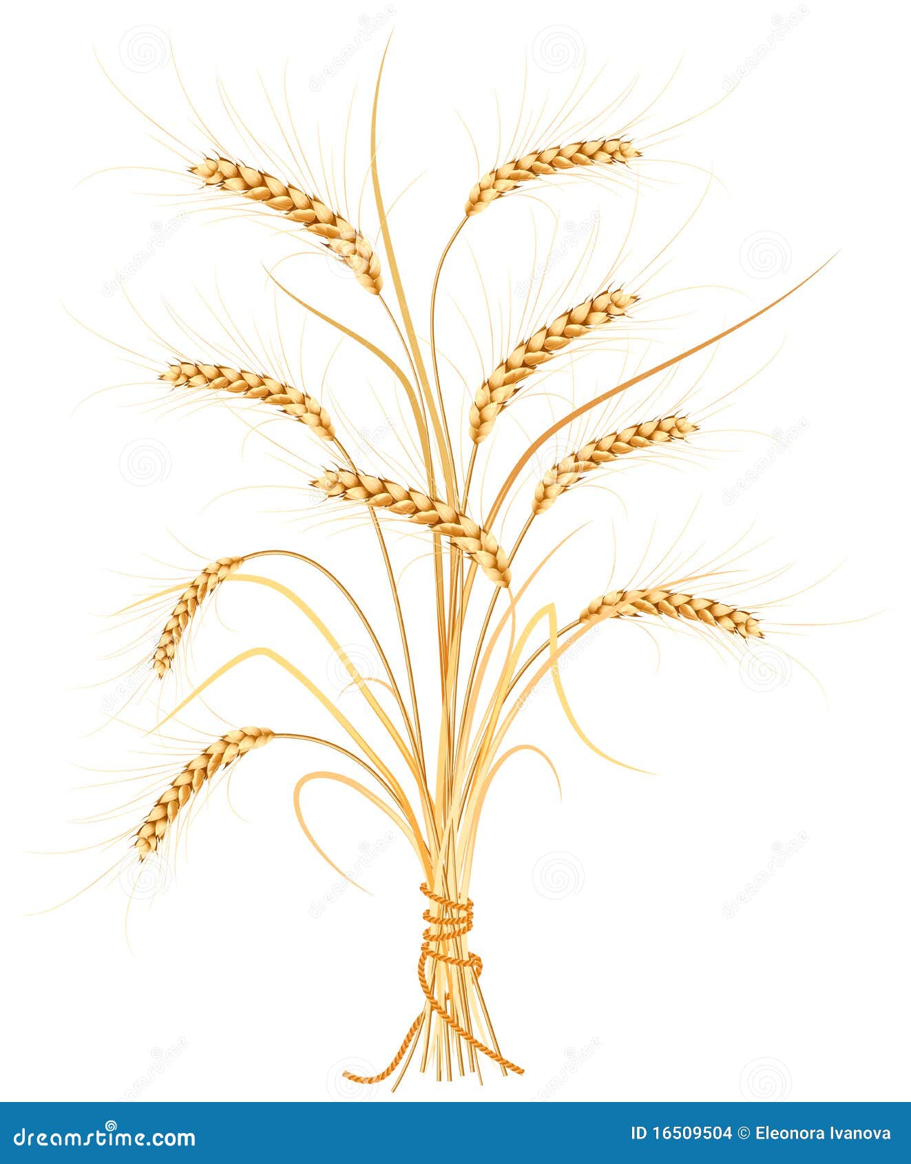 Trigo do vetor ilustração do vetor. Ilustração de haste - 16509504