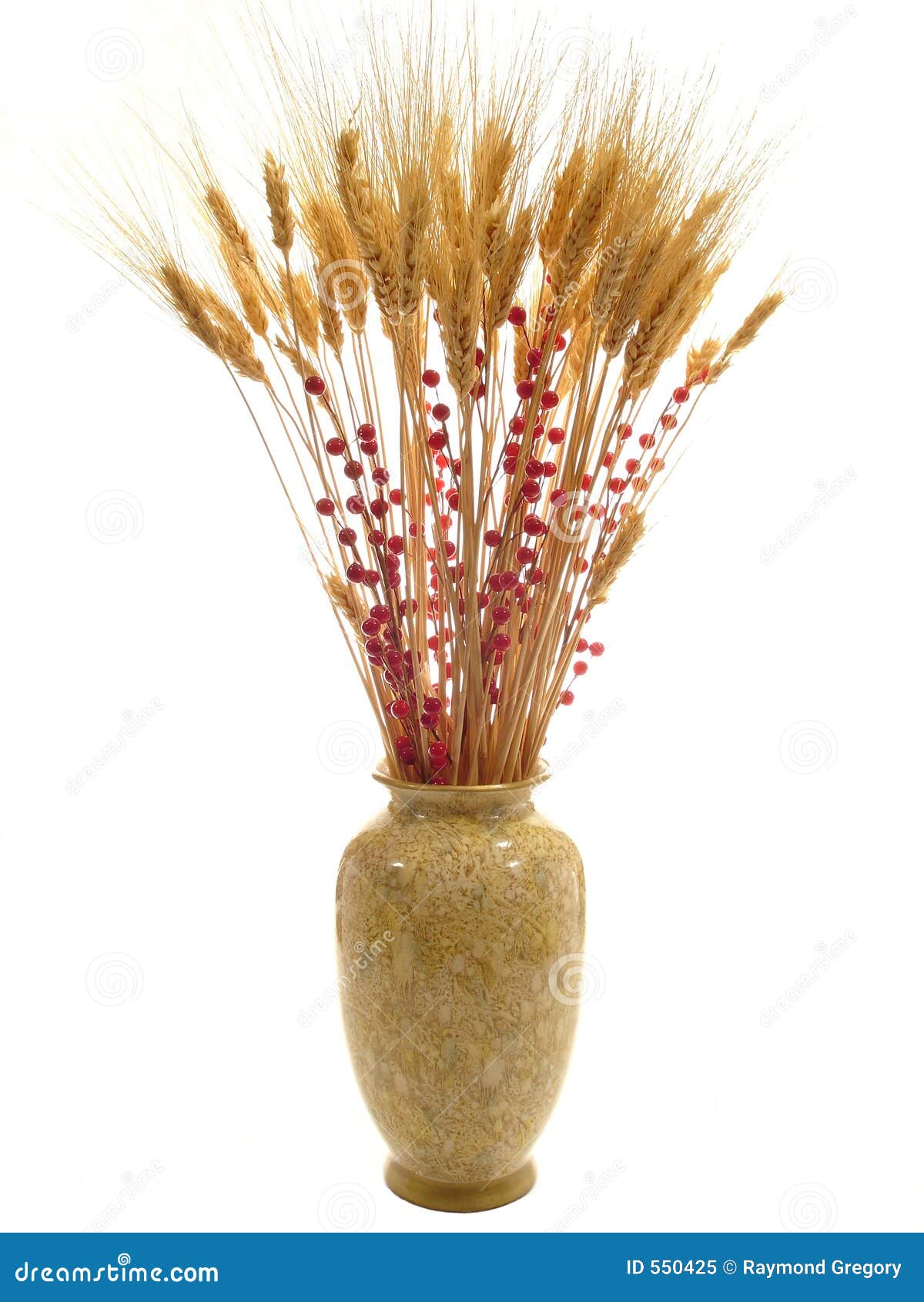 Trigo e bagas no vaso imagem de stock. Imagem de bronzeado - 550425