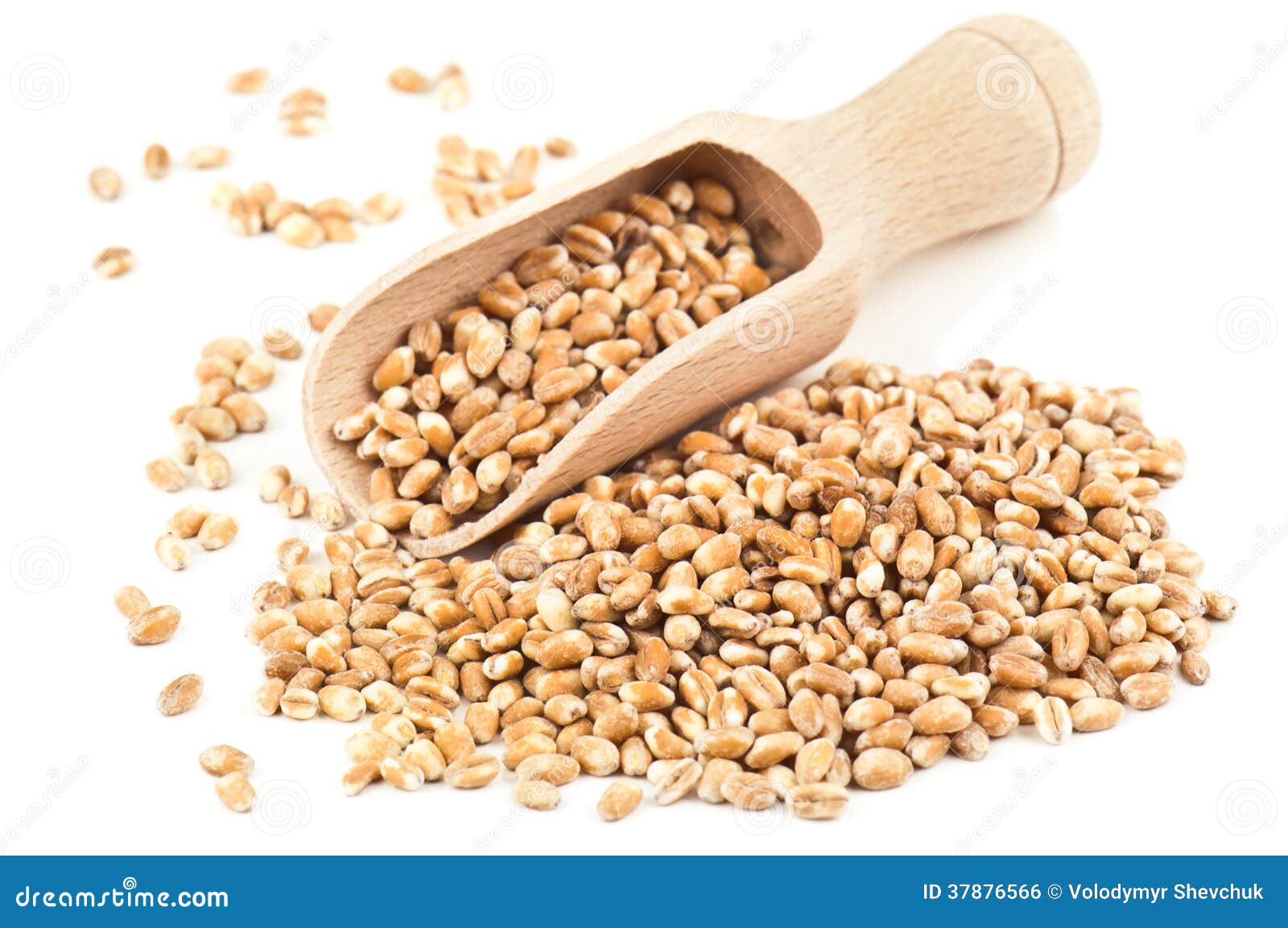 Trigo en blanco foto de archivo. Imagen de utensilio - 37876566