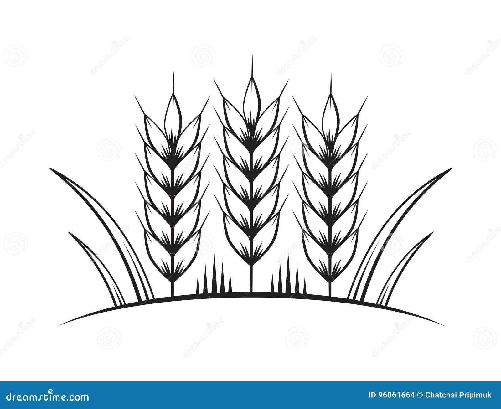 Trigo gráfico, vector ilustración del vector. Ilustración de acortar ...