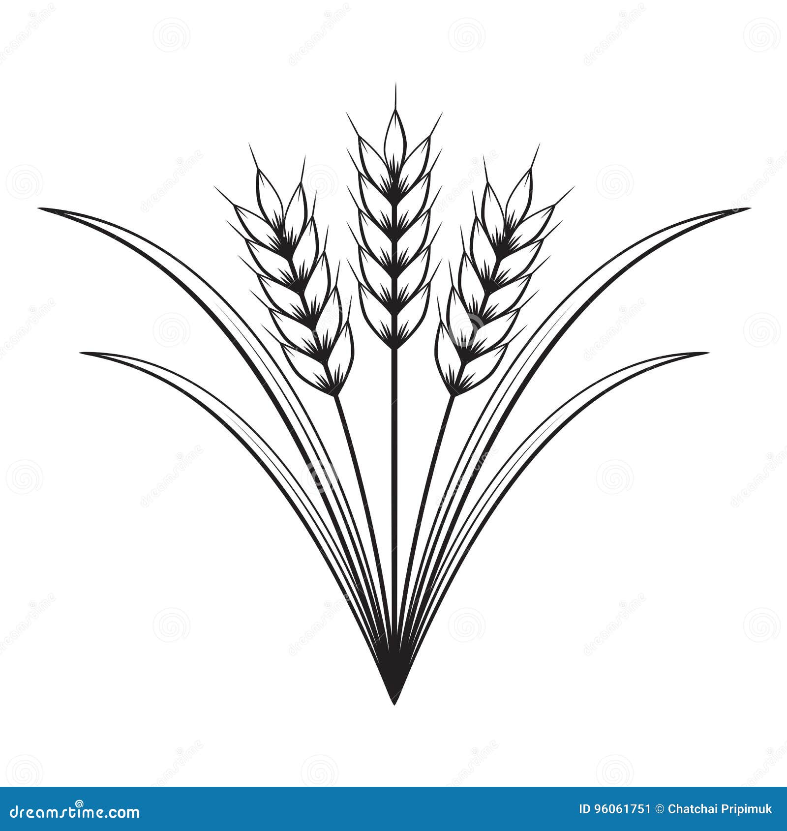 Trigo gráfico, vetor ilustração do vetor. Ilustração de vetor - 96061751