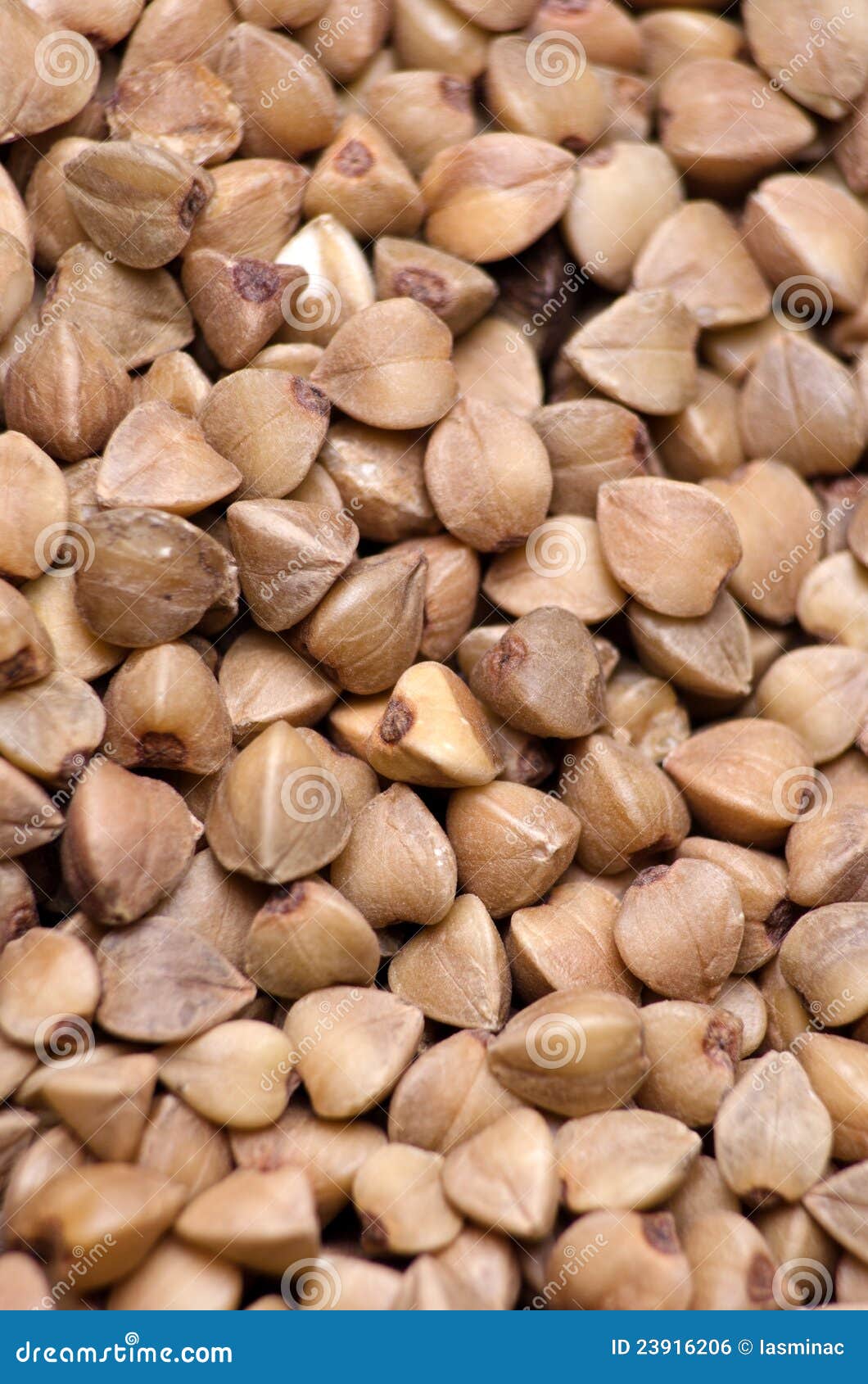 Trigo mourisco foto de stock. Imagem de nutritivo, ingrediente - 23916206