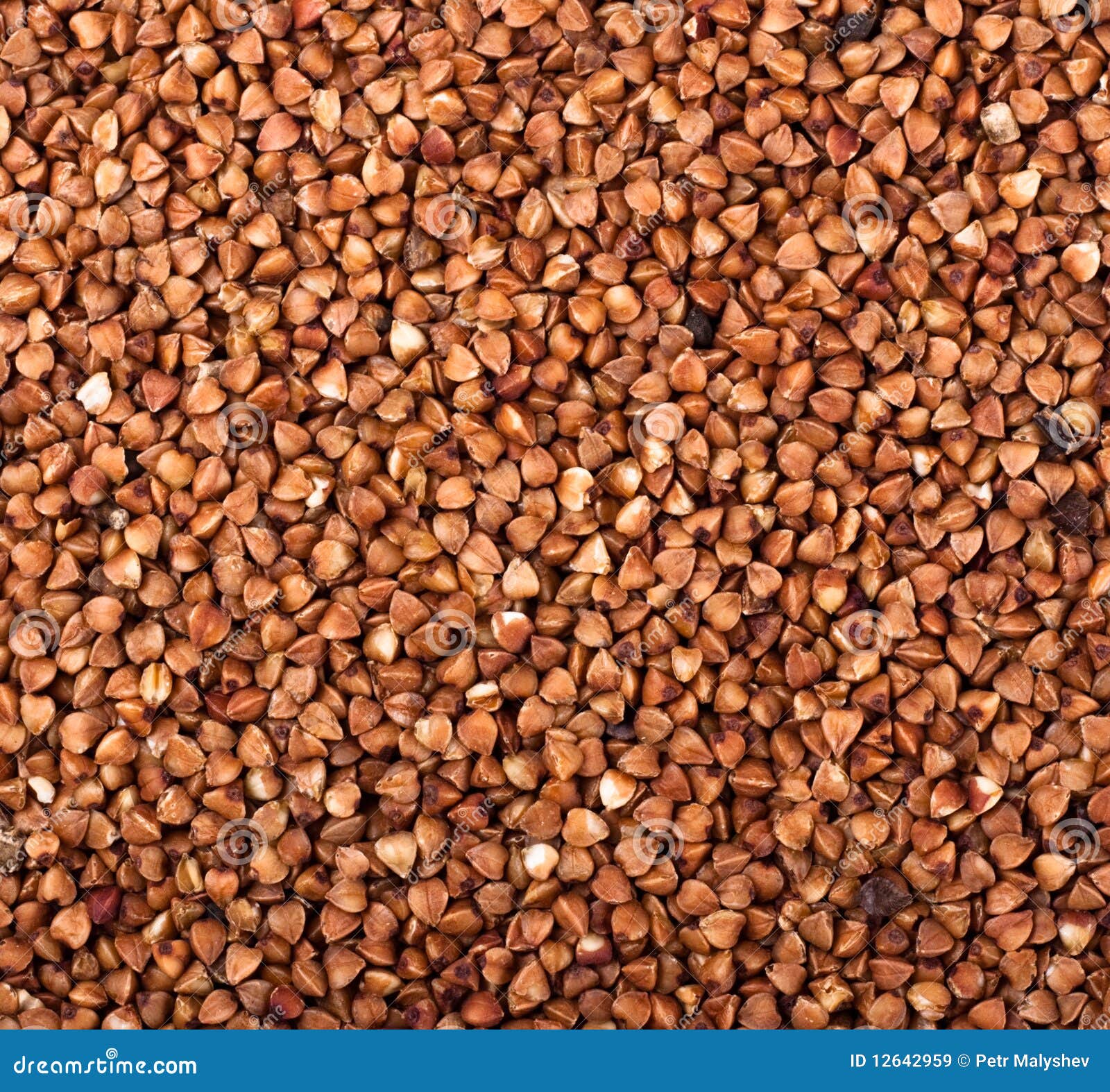 Trigo mourisco de Brown imagem de stock. Imagem de colocar - 12642959