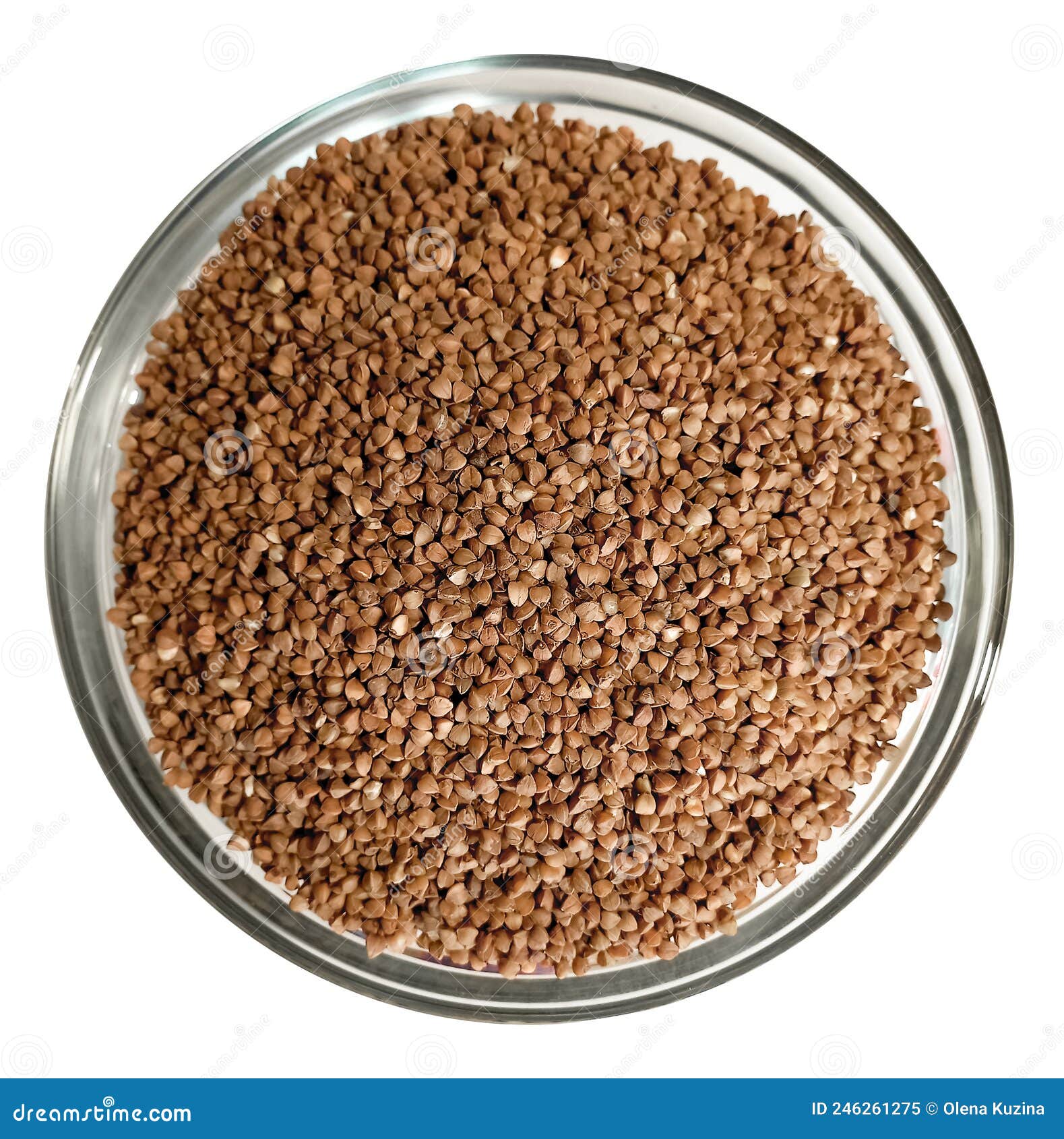 Trigo Negro Aislado En Blanco Imagen de archivo - Imagen de granos ...