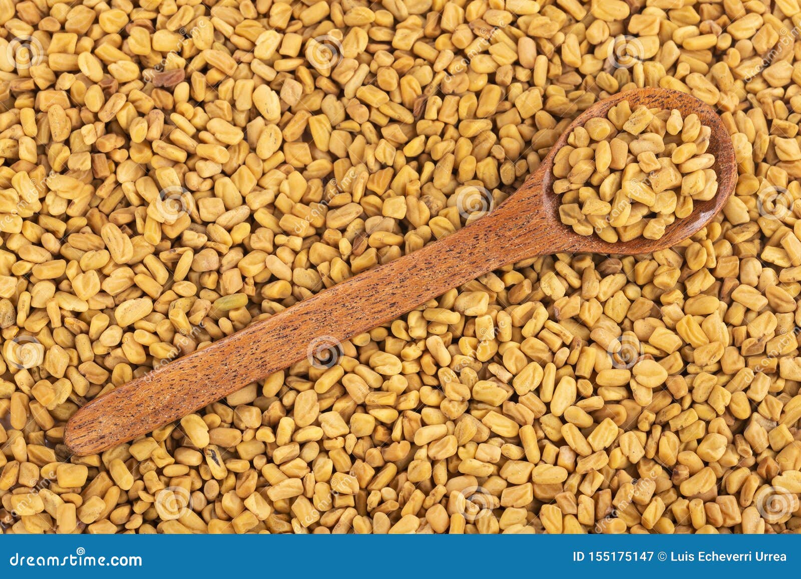 Trigonella Foenum-graecum. Fenugreek Seeds. Text Space Stock Image ...