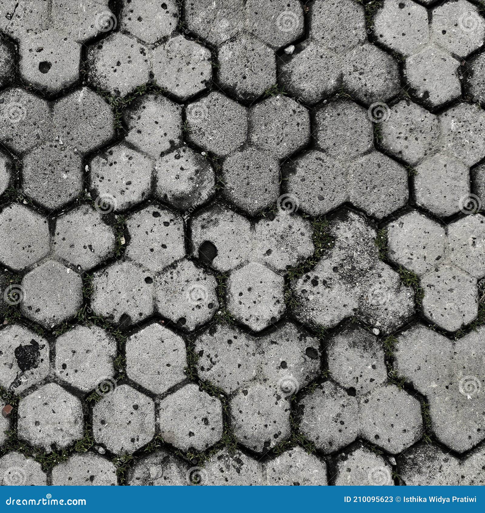 Trihex paving block stock image. Image of rock, block - 210095623