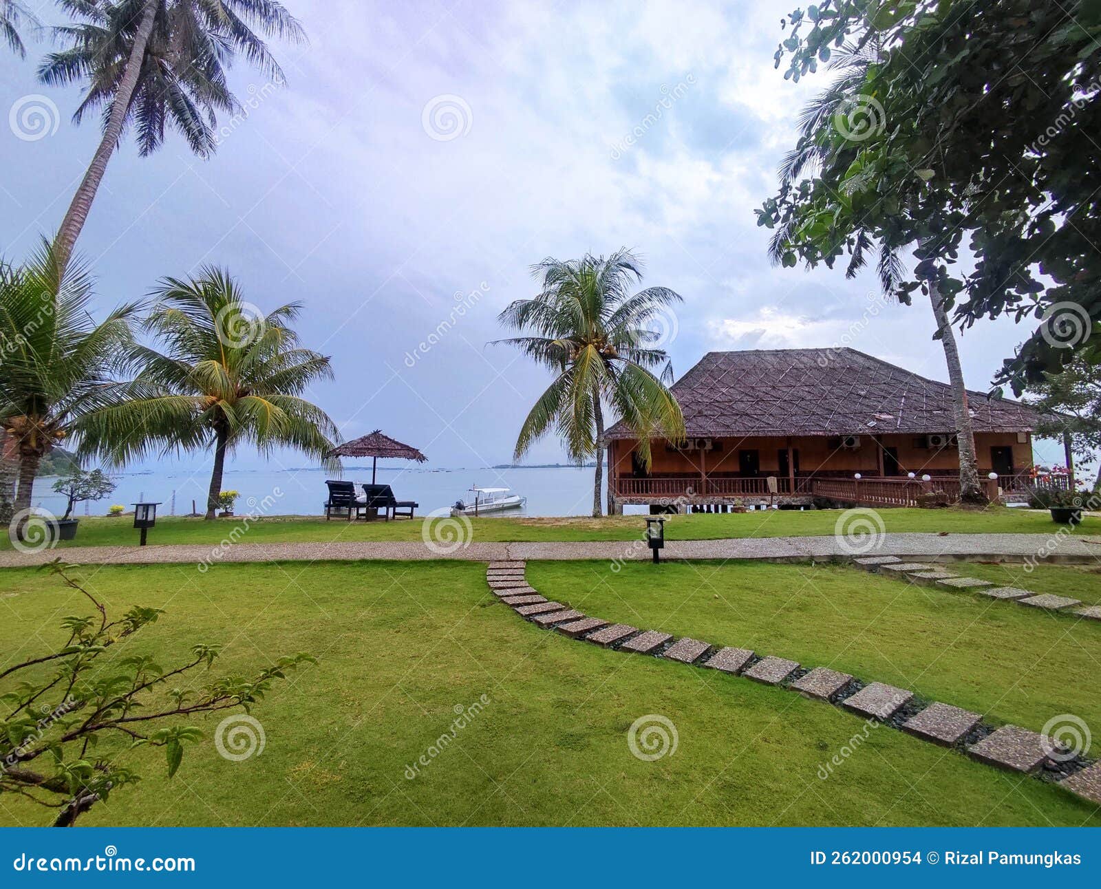 Trikora Beach in the Morning Stock Photo - Image of tree, vacation ...