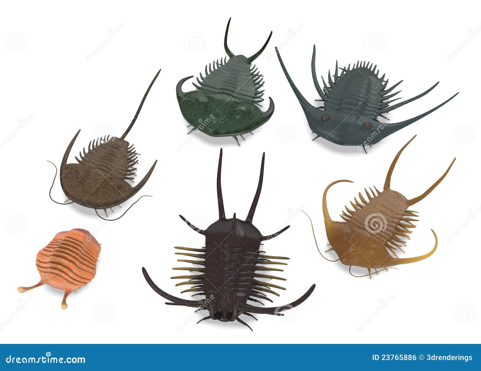 Extinct Beetle Symbol For Extinction Of Species Cartoon Vector ...