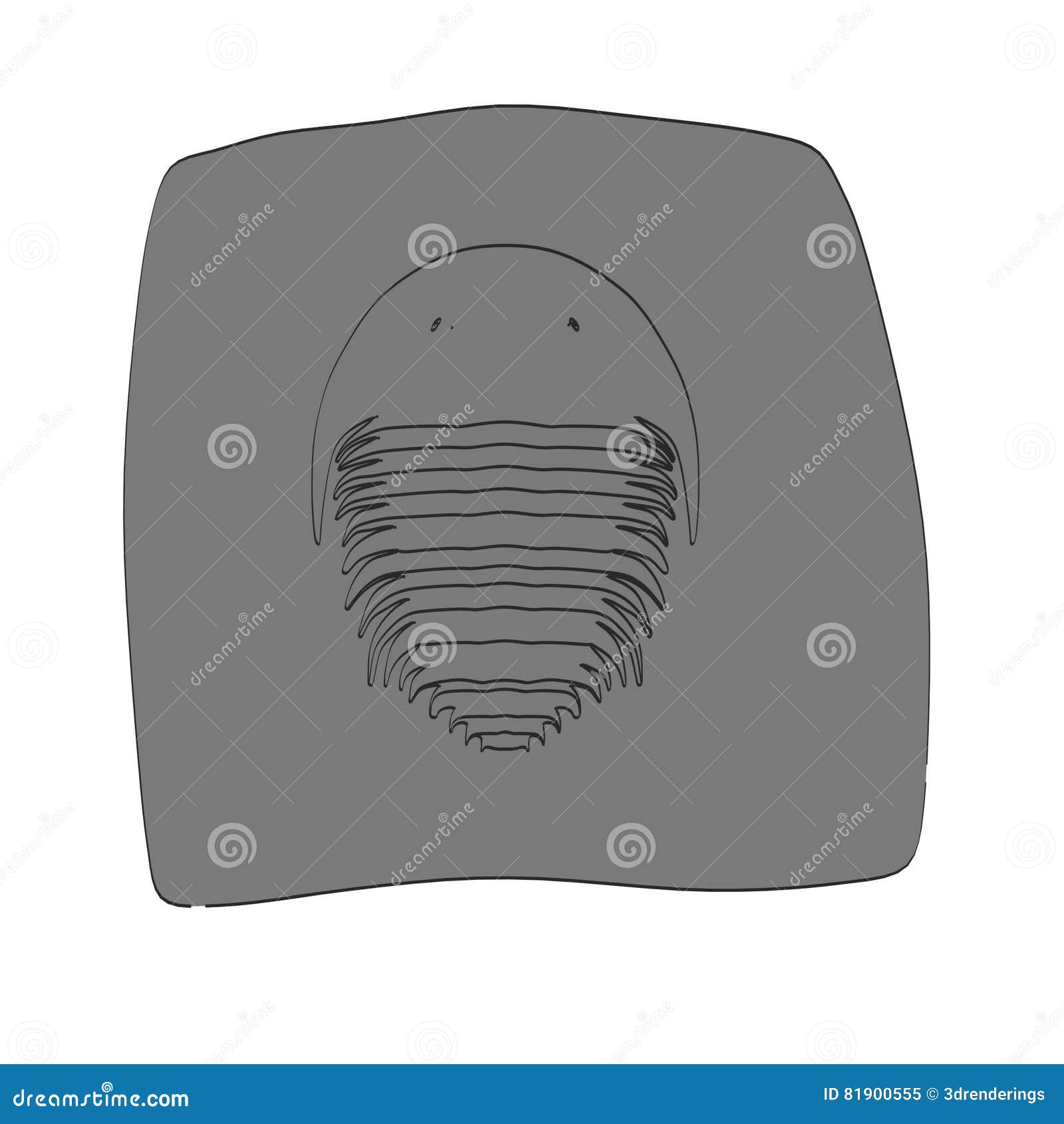 Trilobite stock illustration. Illustration of lobe, contracta - 81900555