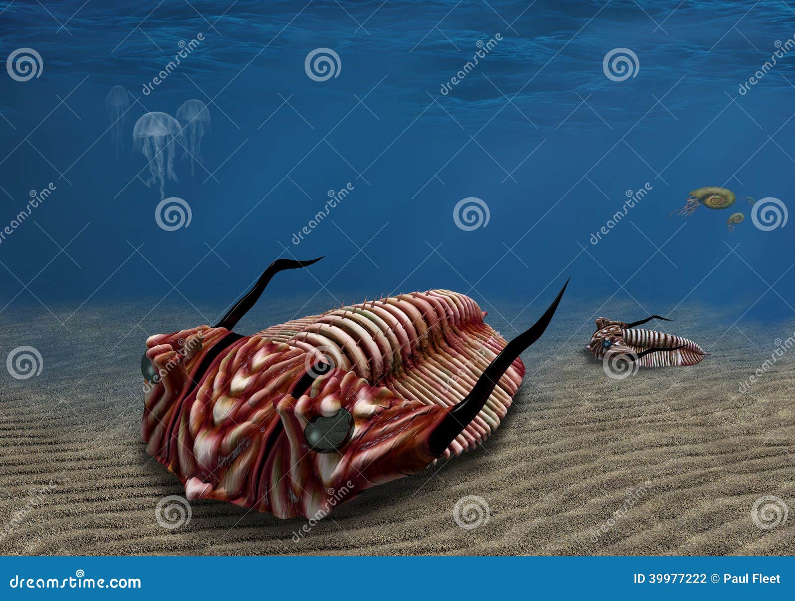 Trilobite stock illustration. Illustration of extinct - 39977222