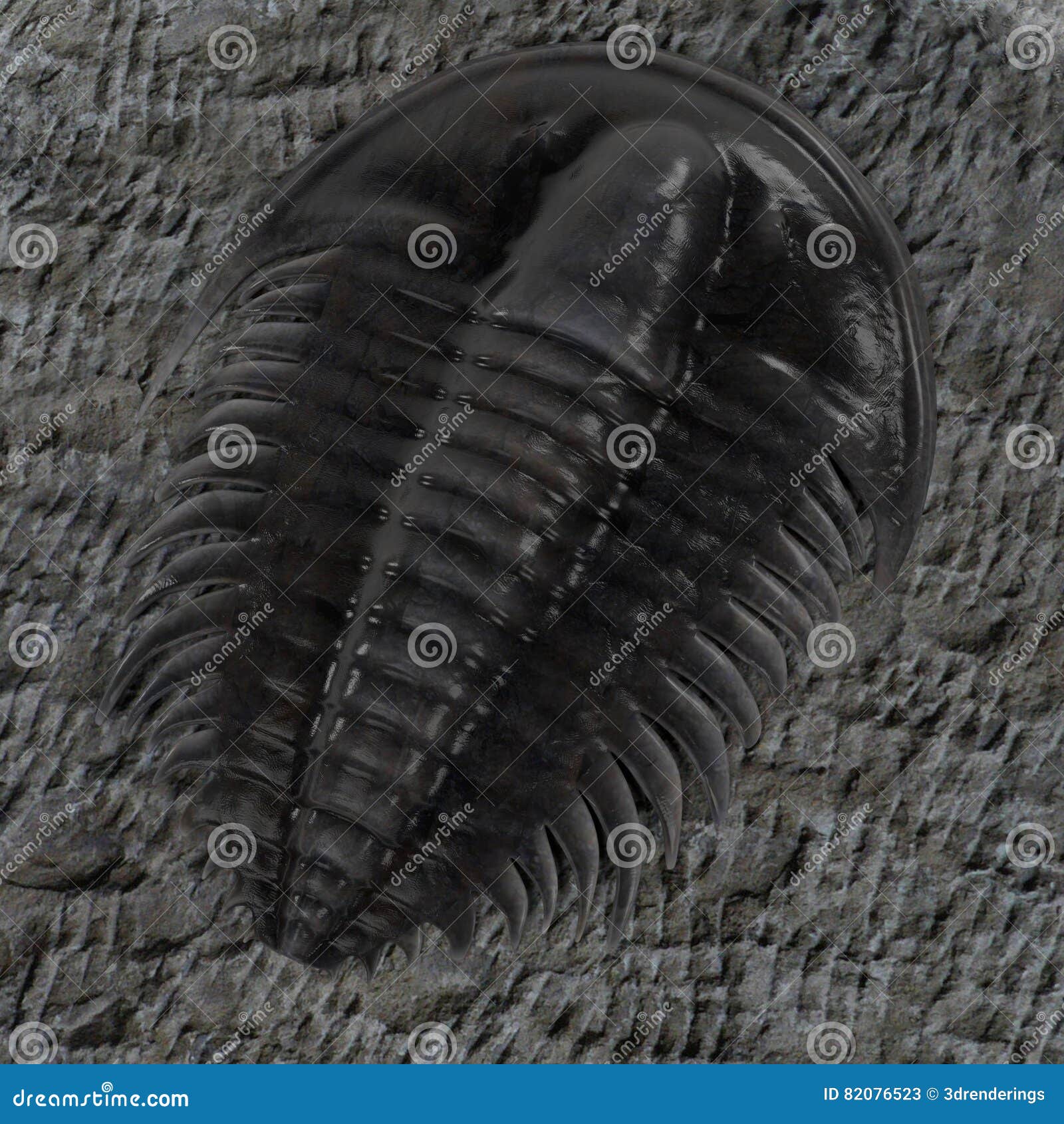 Trilobite stock illustration. Illustration of excavation - 82076523