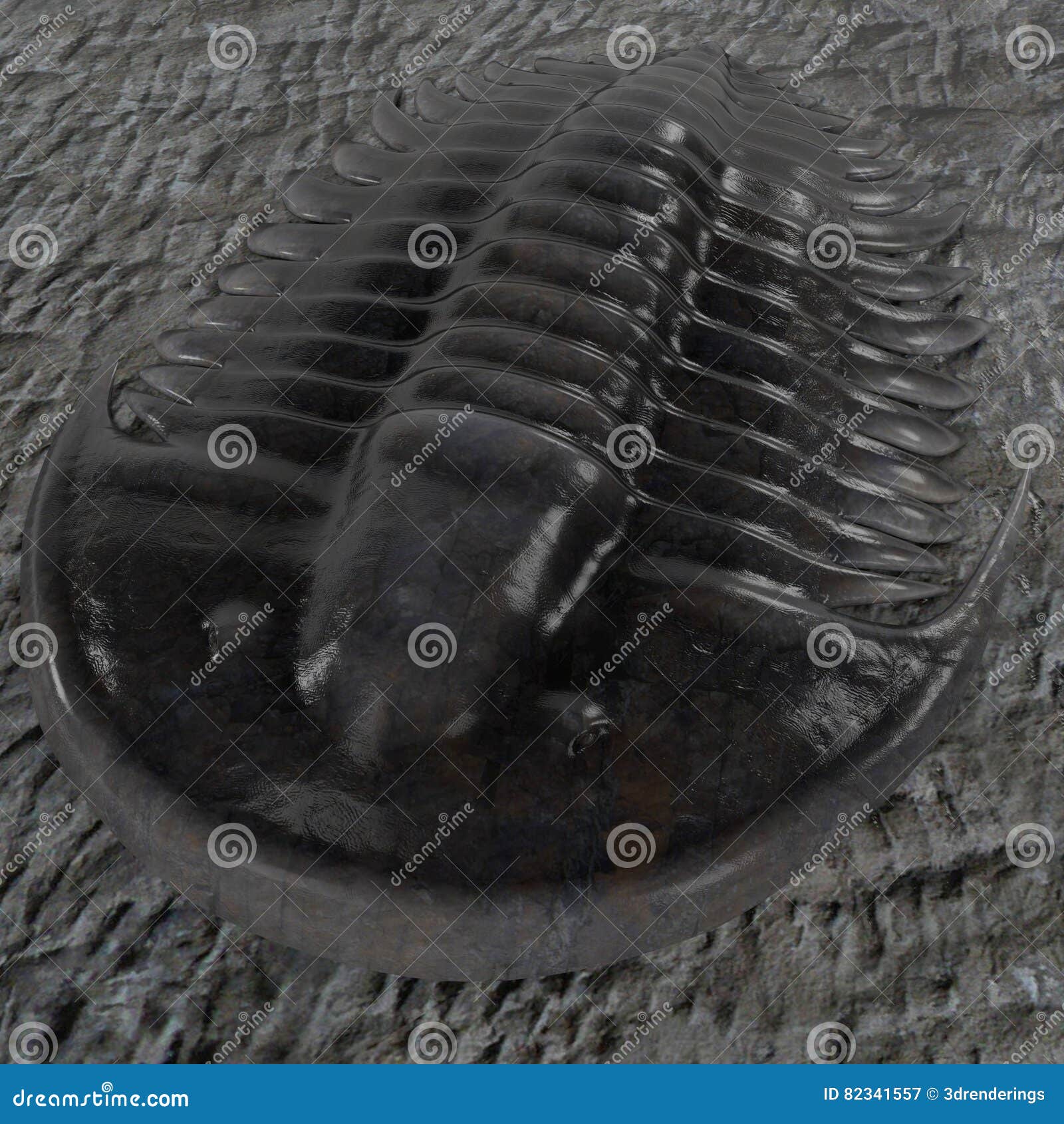 Trilobite stock illustration. Illustration of orygmaspis - 82341557