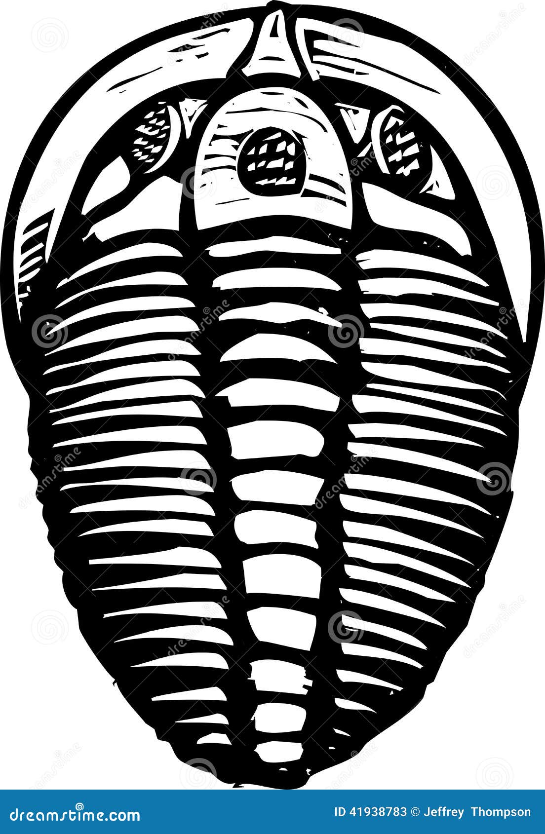 Trilobite Cartoon Vector | CartoonDealer.com #12240019
